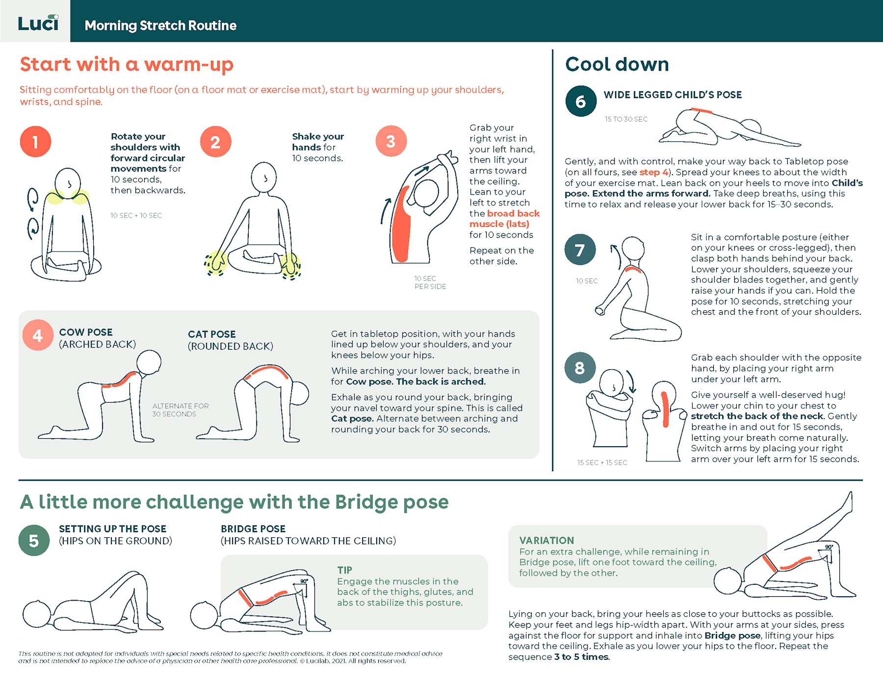 Morning Stretch Routine