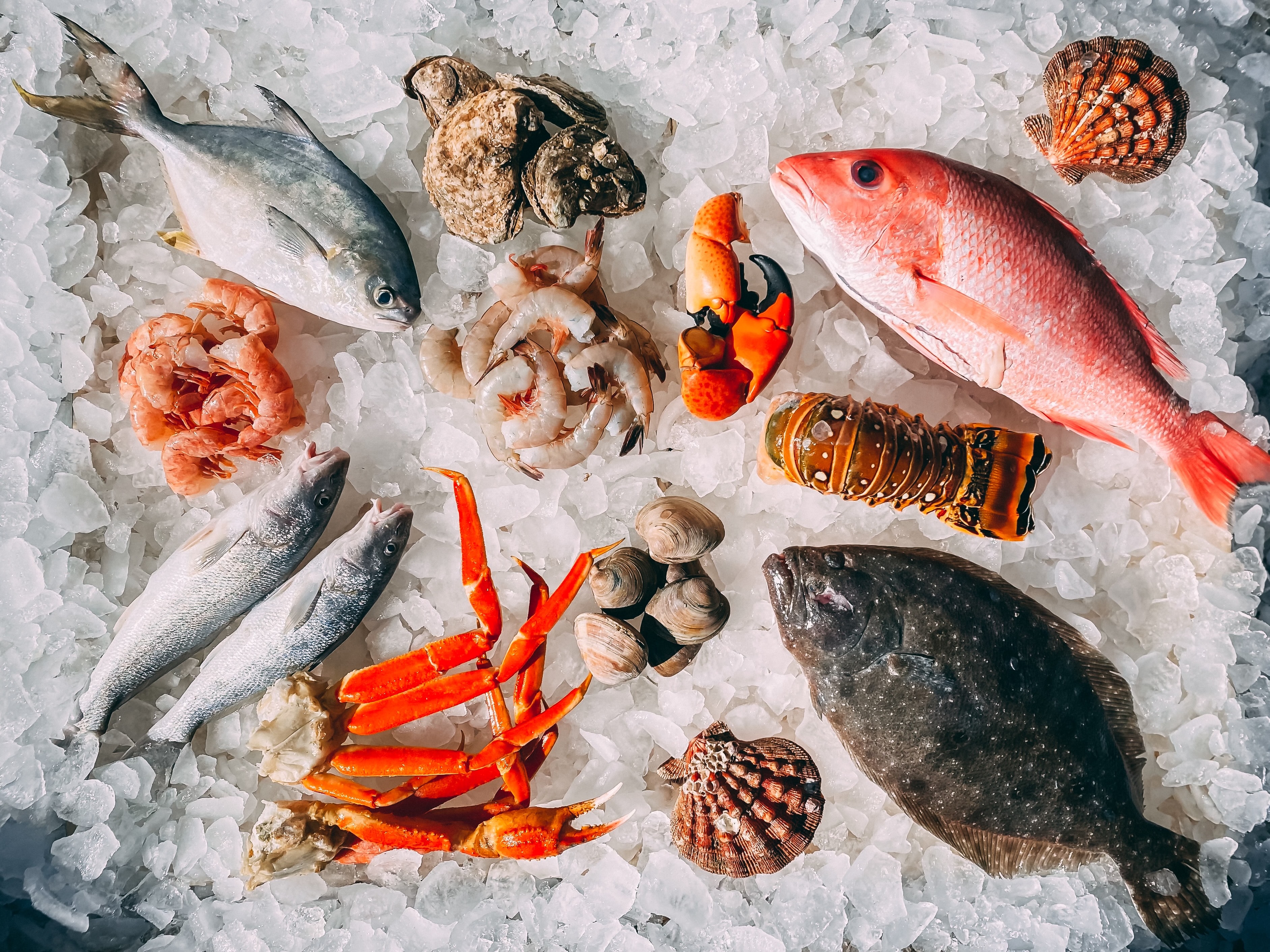 Poisson et fruits de mer: des bienfaits multiples