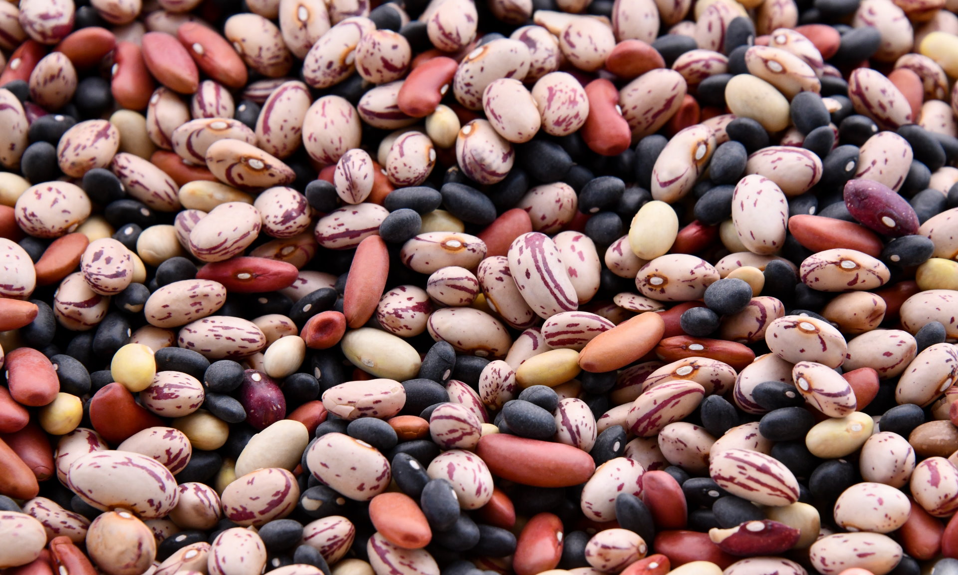 Legumes: Part of a Healthy, Varied Diet