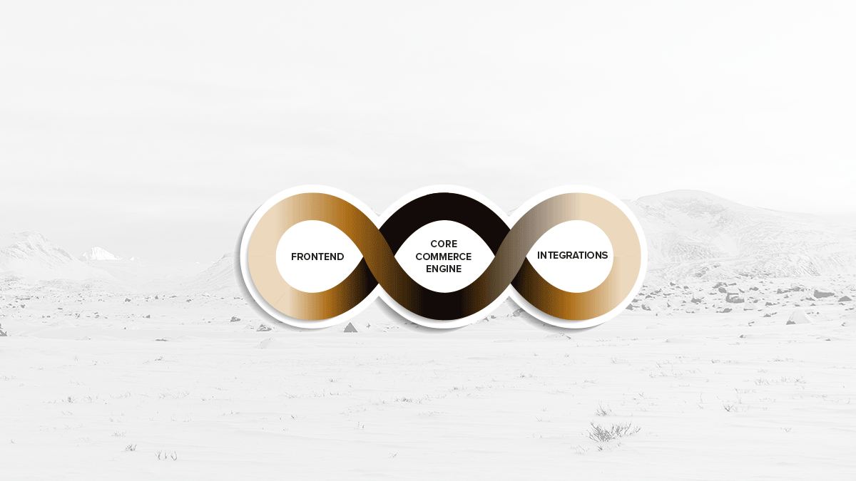 What is Decoupled Architecture?