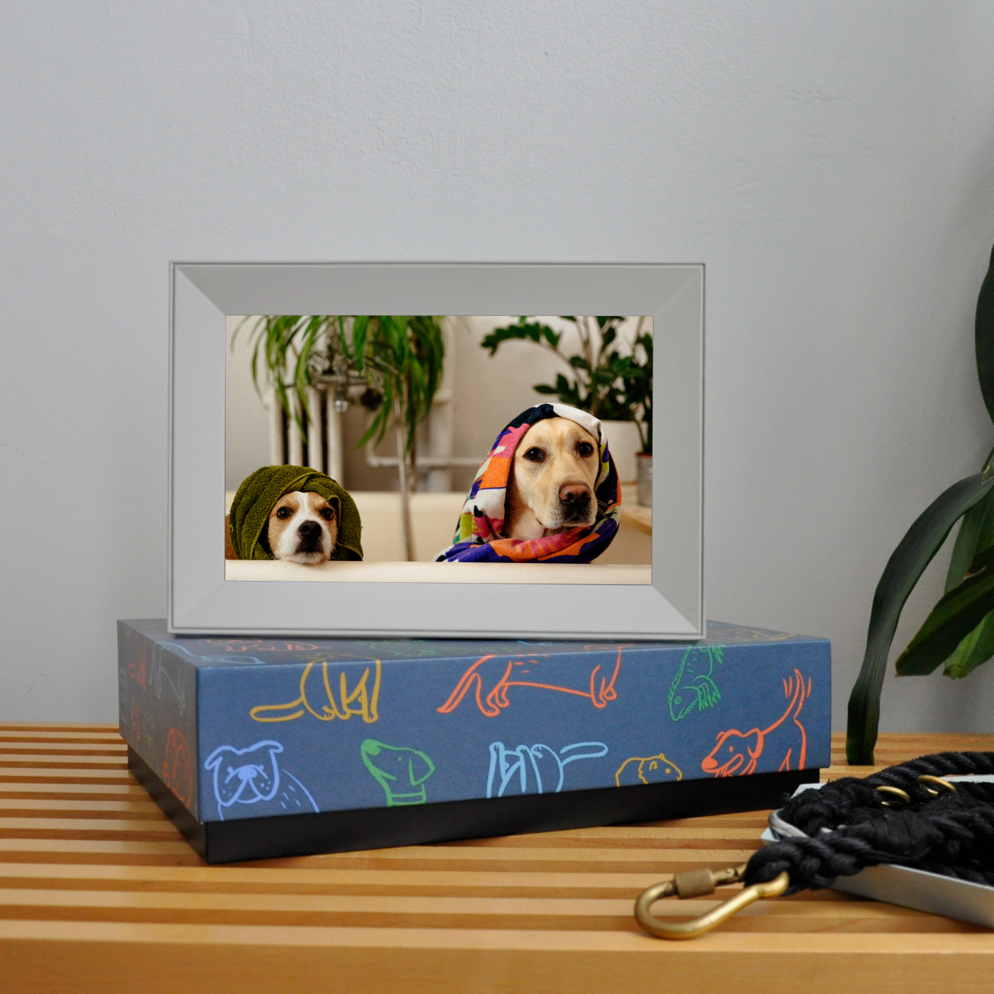 Dog Frame