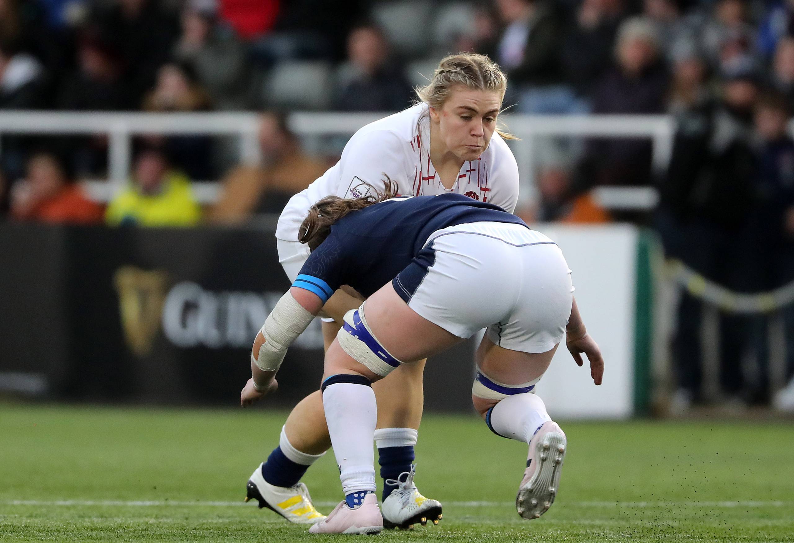 Mackenzie Carson enjoying fully fledged Red Rose status - Guinness ...