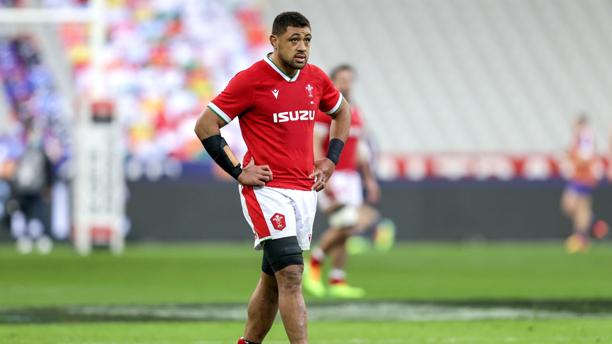 Faletau and Adams return for England showdown - Guinness Men's Six Nations