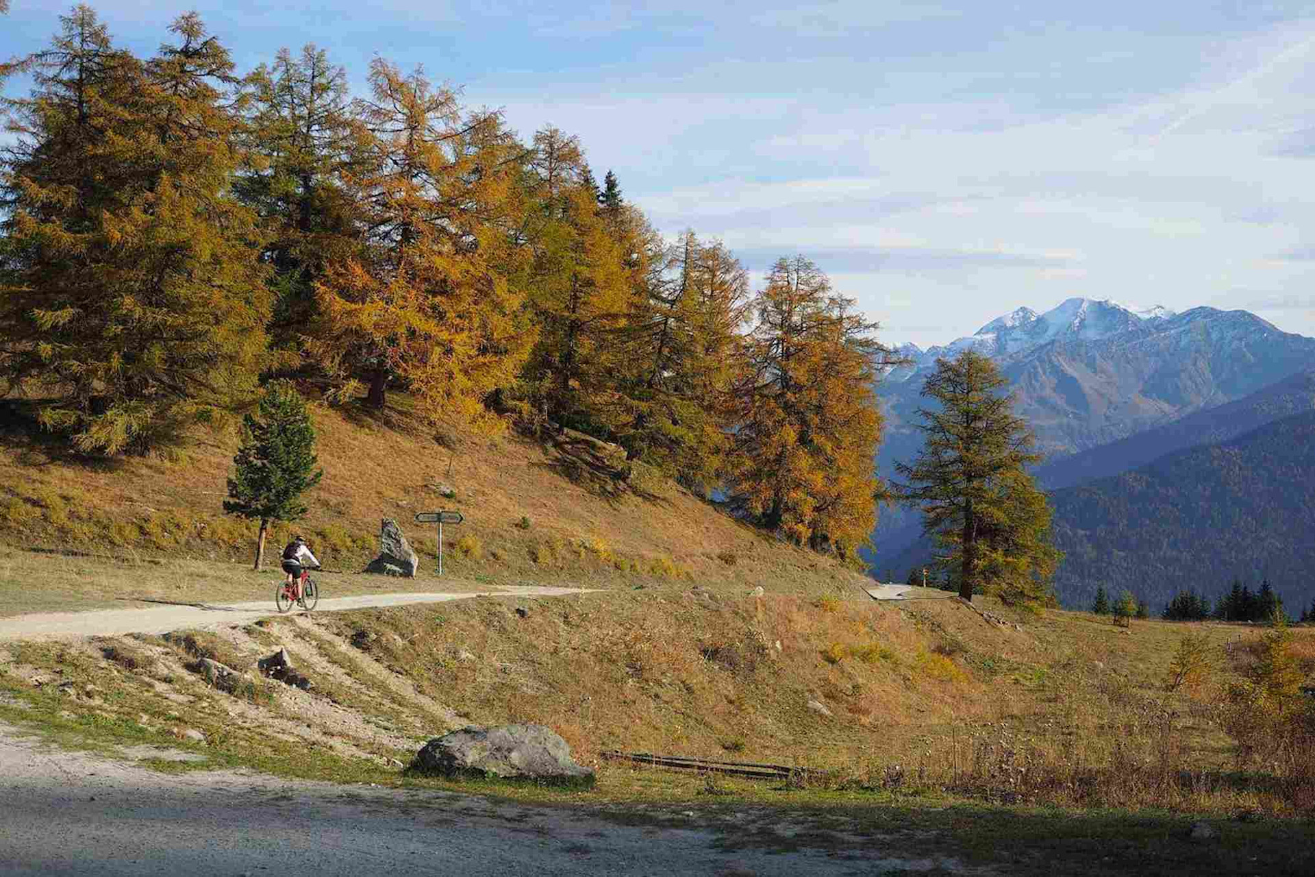 Levron Bike | Valais Switzerland