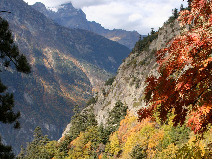 Les Follatères nature trail | Valais Switzerland