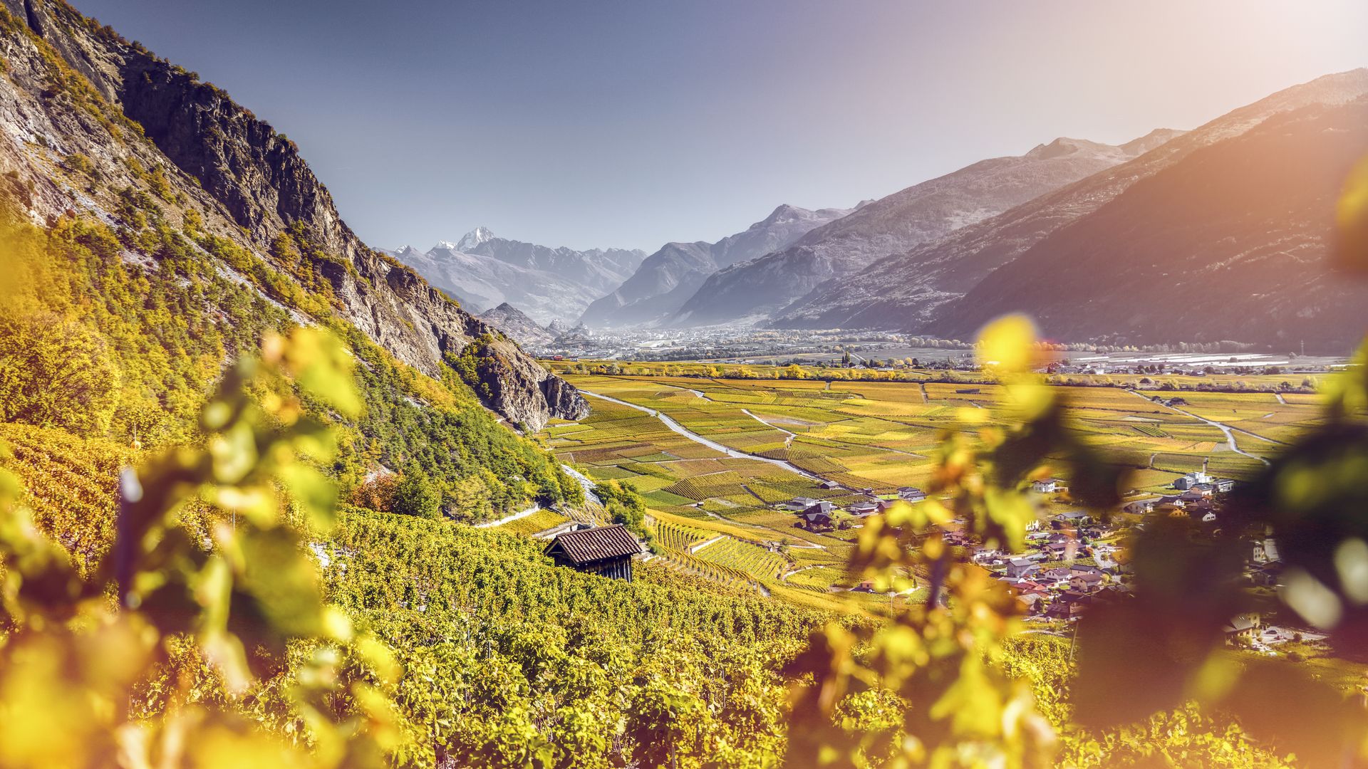 Chamoson – Home of Johannisberg | Valais Switzerland