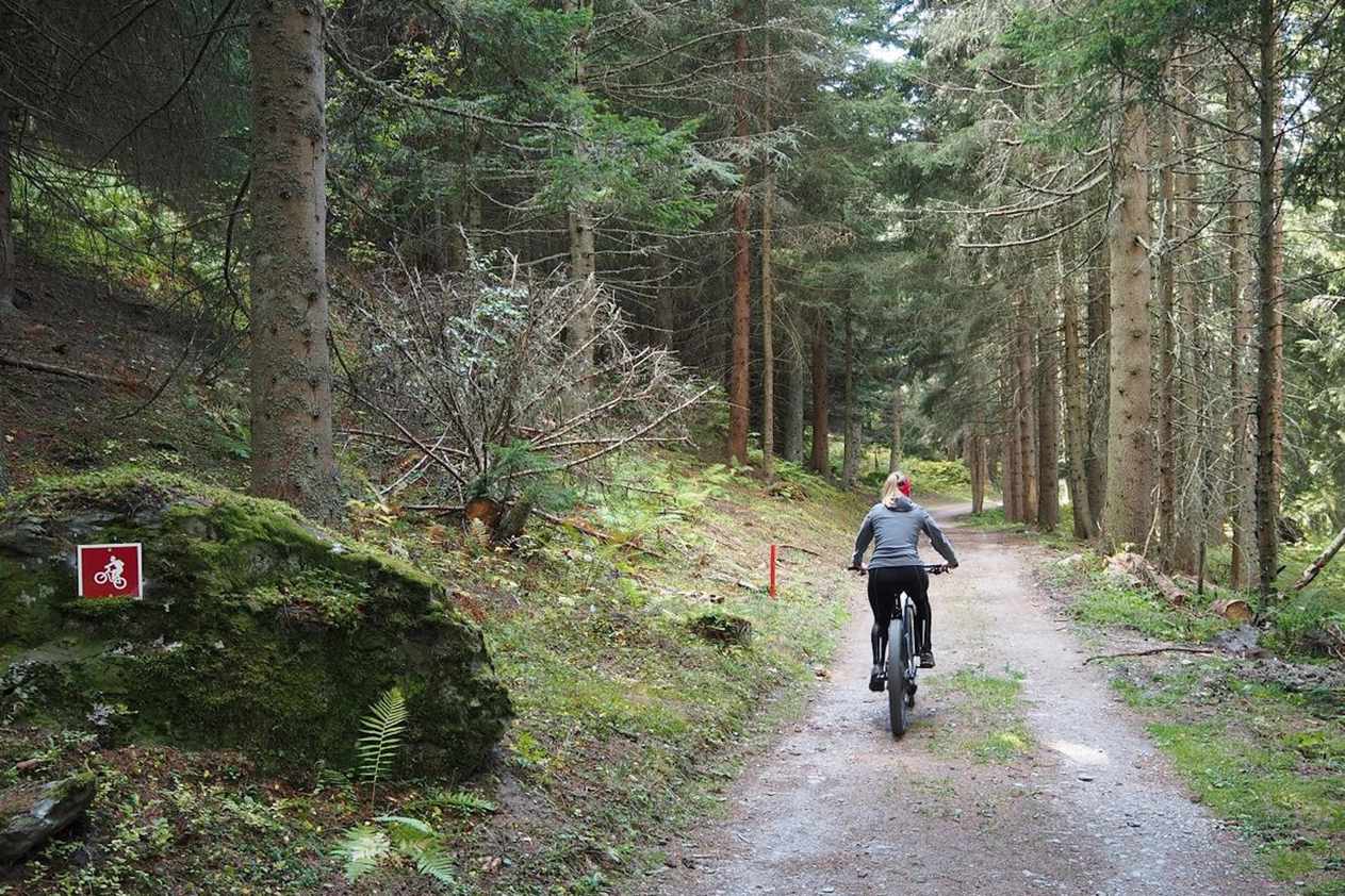 Col des Planches Bike | Valais Switzerland