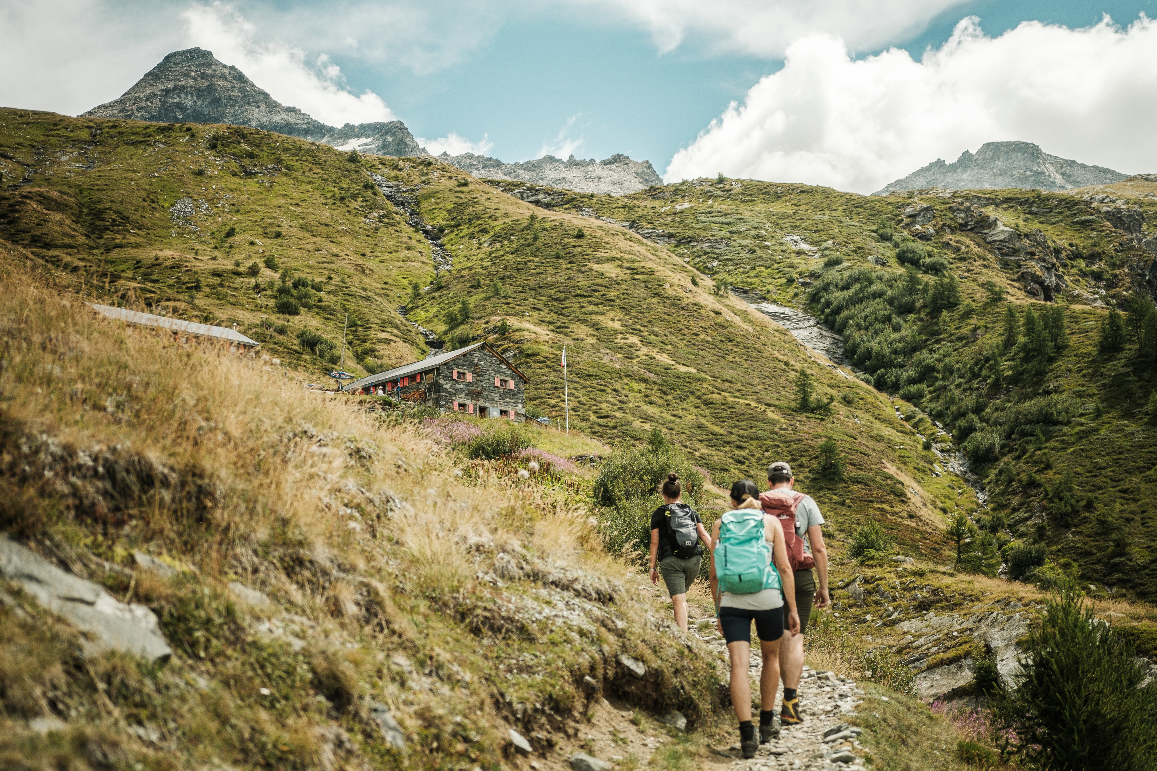 Shop | Wallis Schweiz