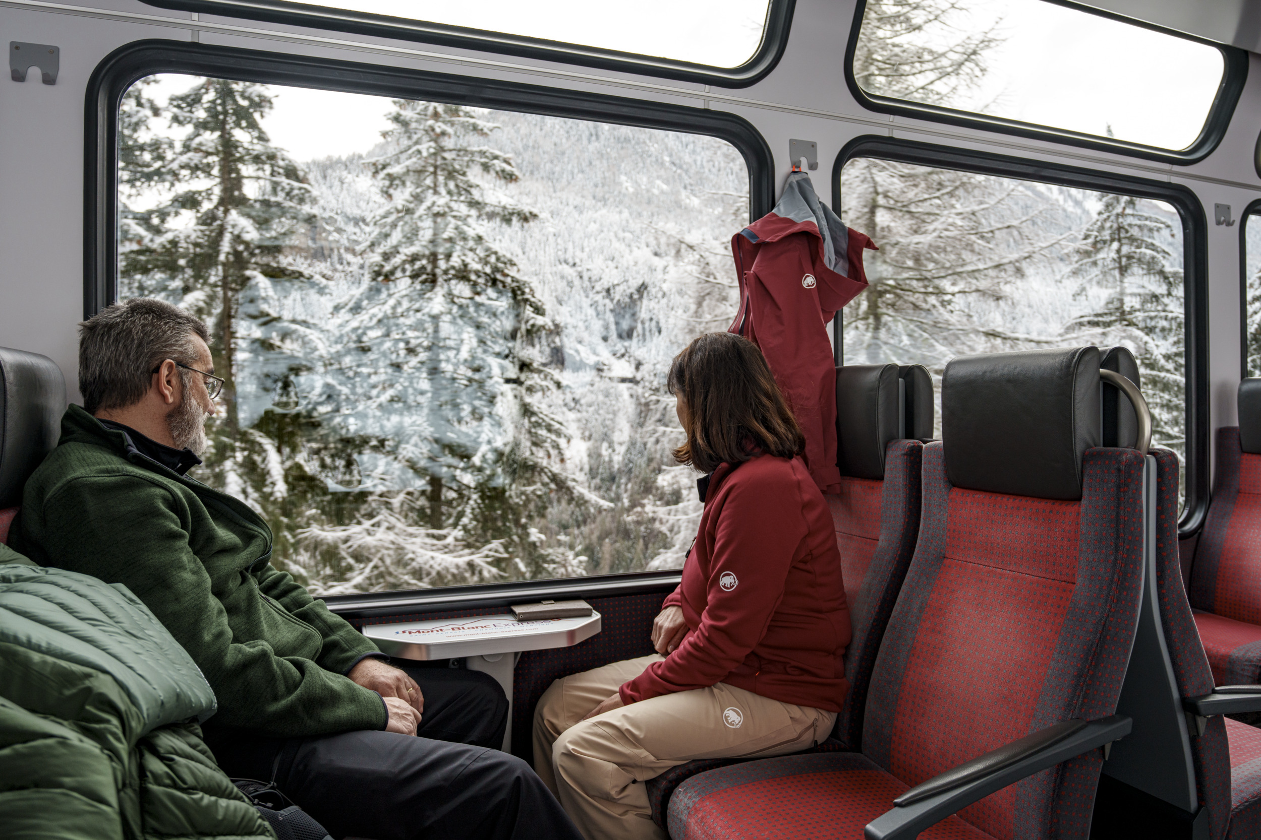 Day Pass Martigny - Chamonix - Martigny aboard the panoramic train ...