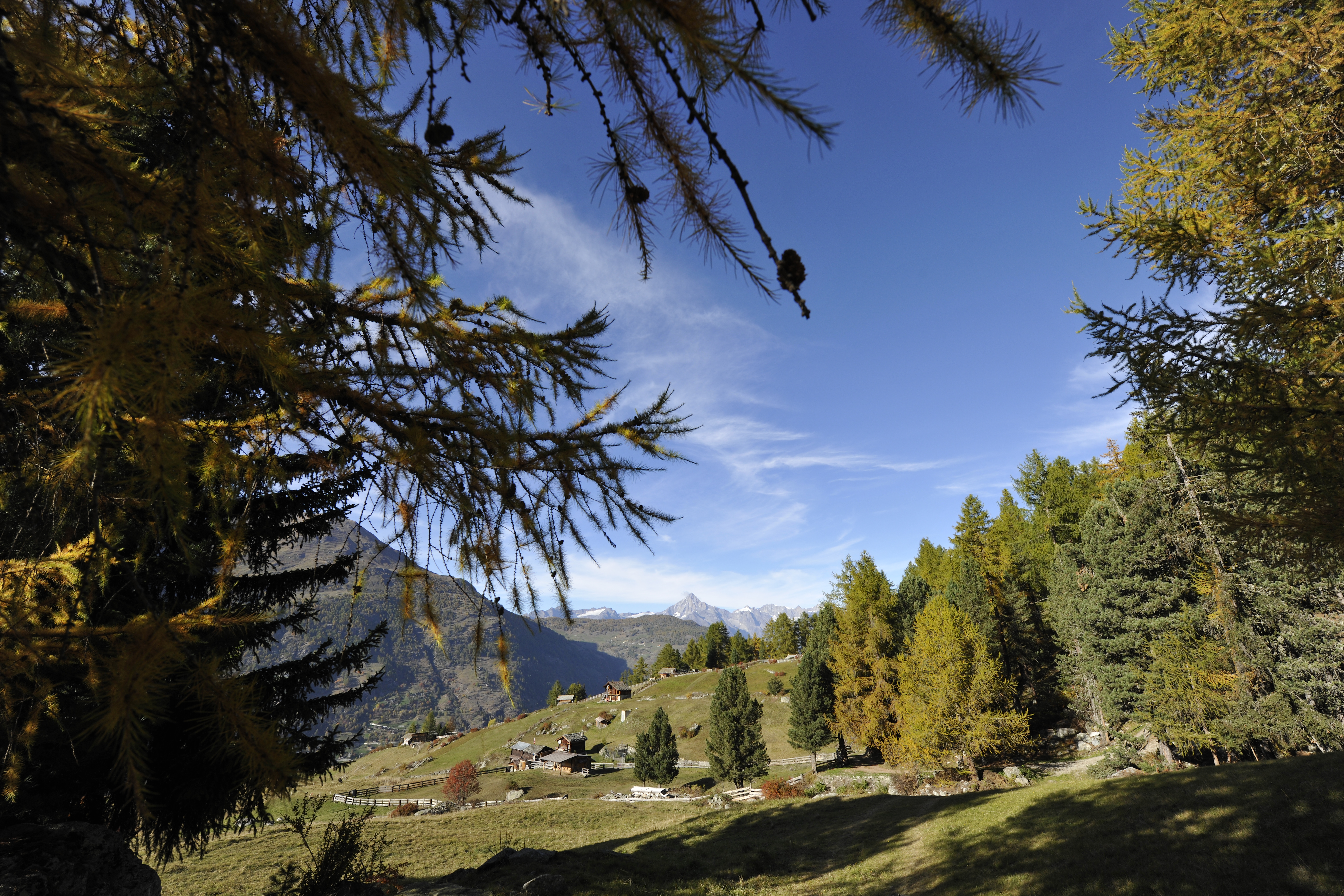 St. Niklaus | Valais Switzerland