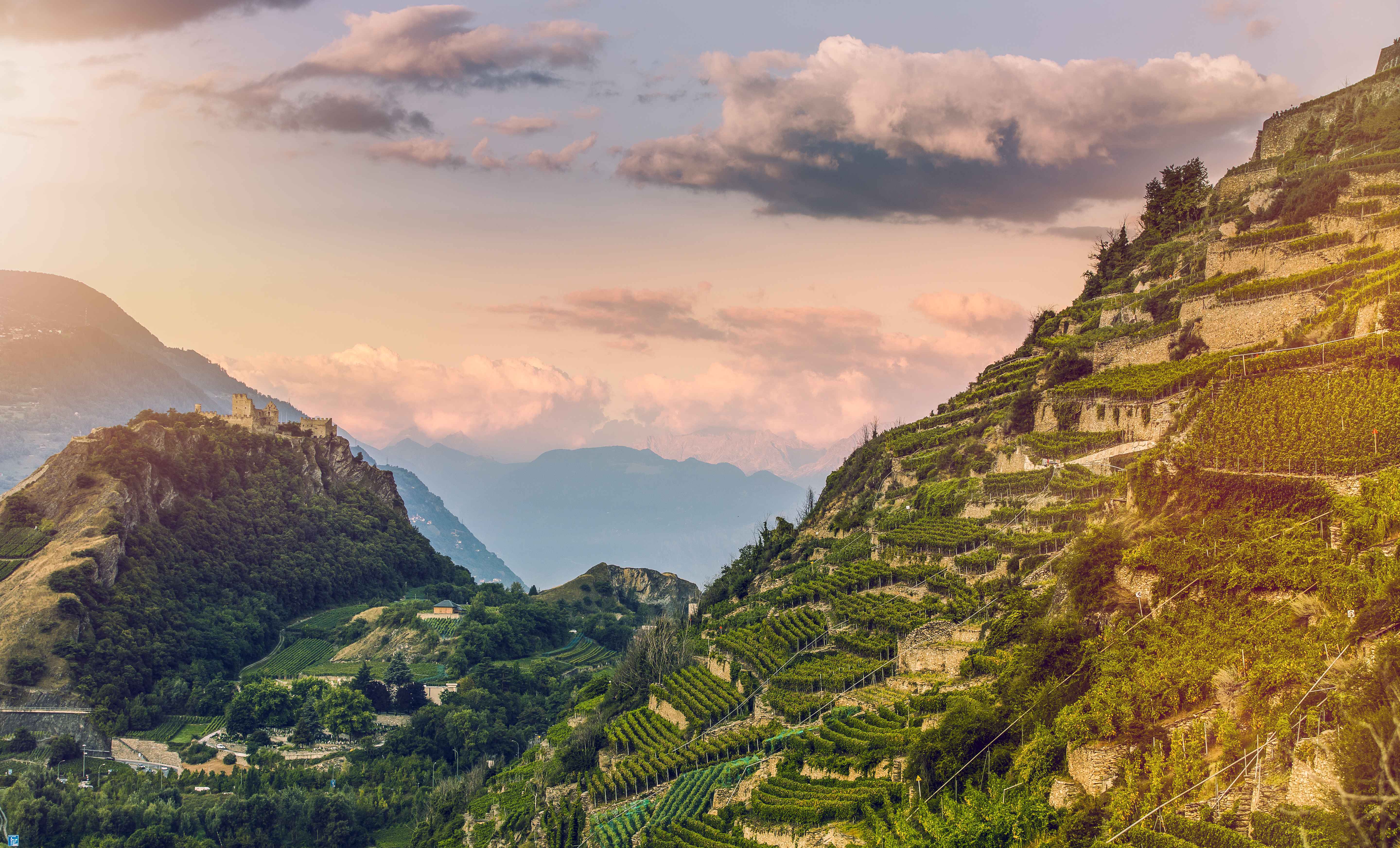 Valais vineyard trail on foot – Swiss Wine Tour