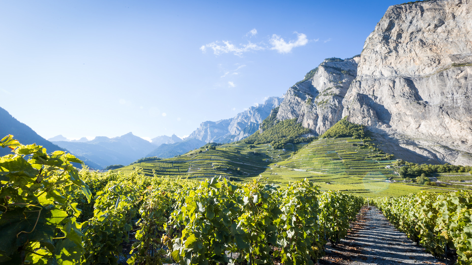 Le Forfait valaisan | Valais Suisse