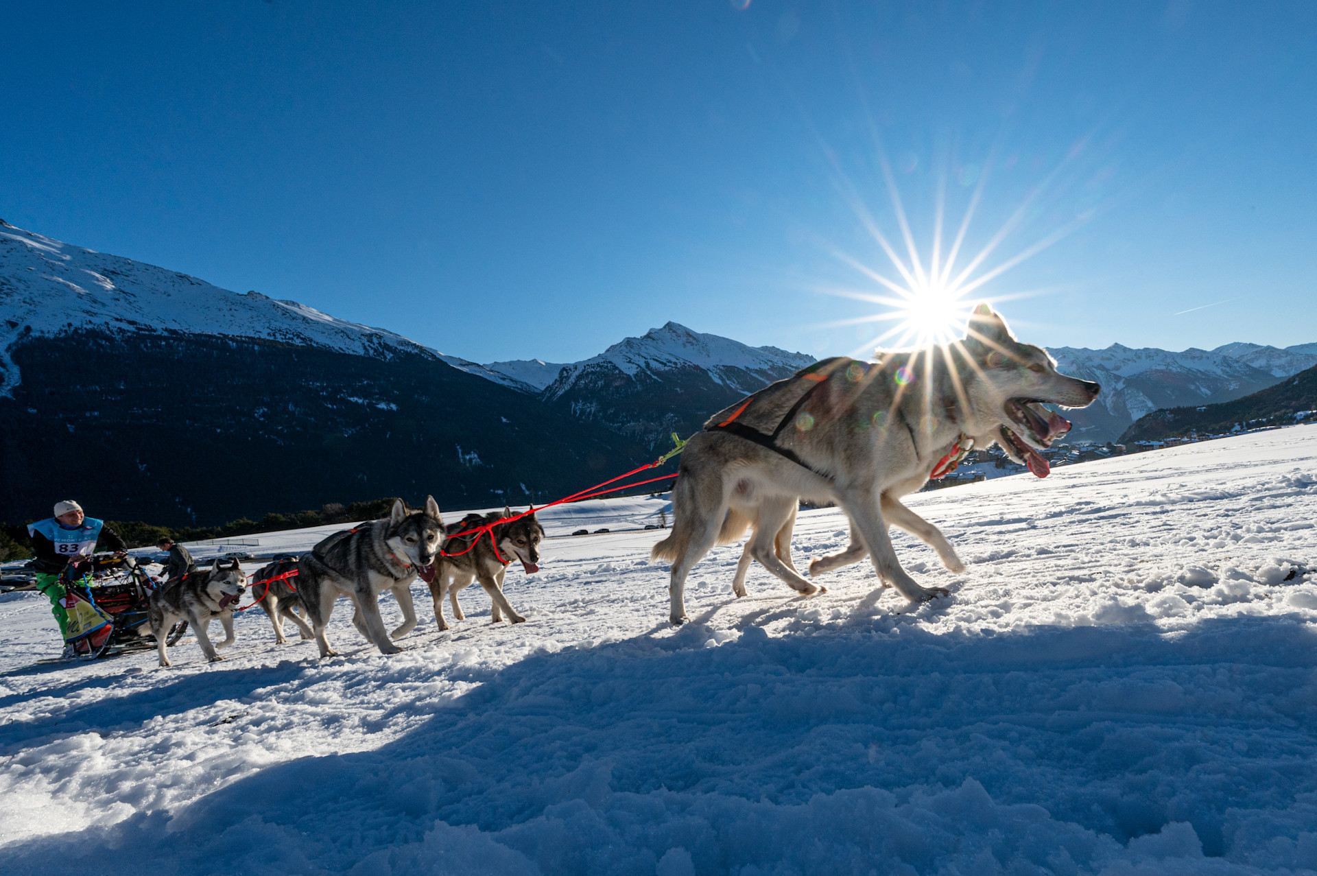 Wild Swiss Adventure GmbH Eisten | Valais Switzerland