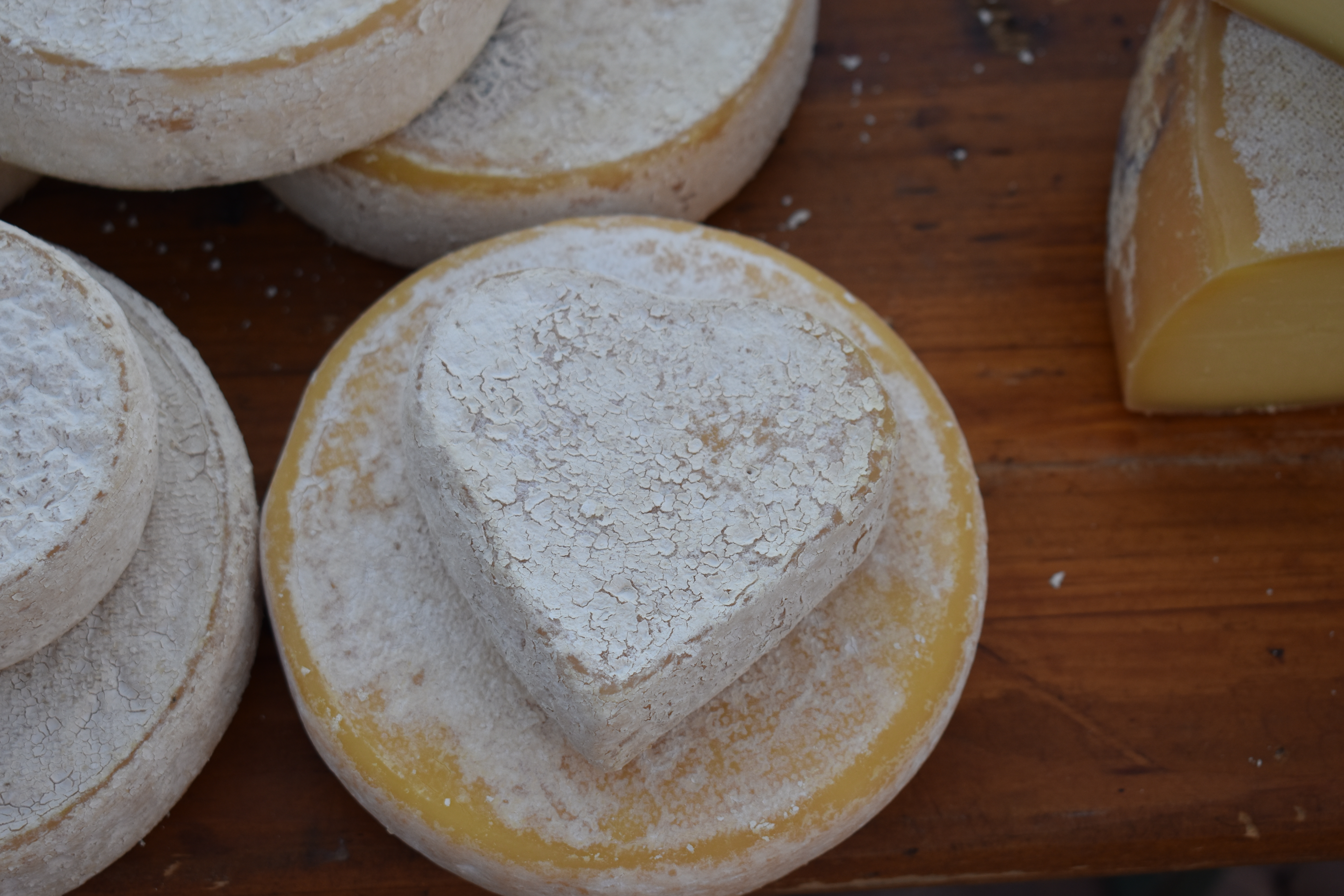 Workshop: Make your own tomme cheese | Valais Switzerland