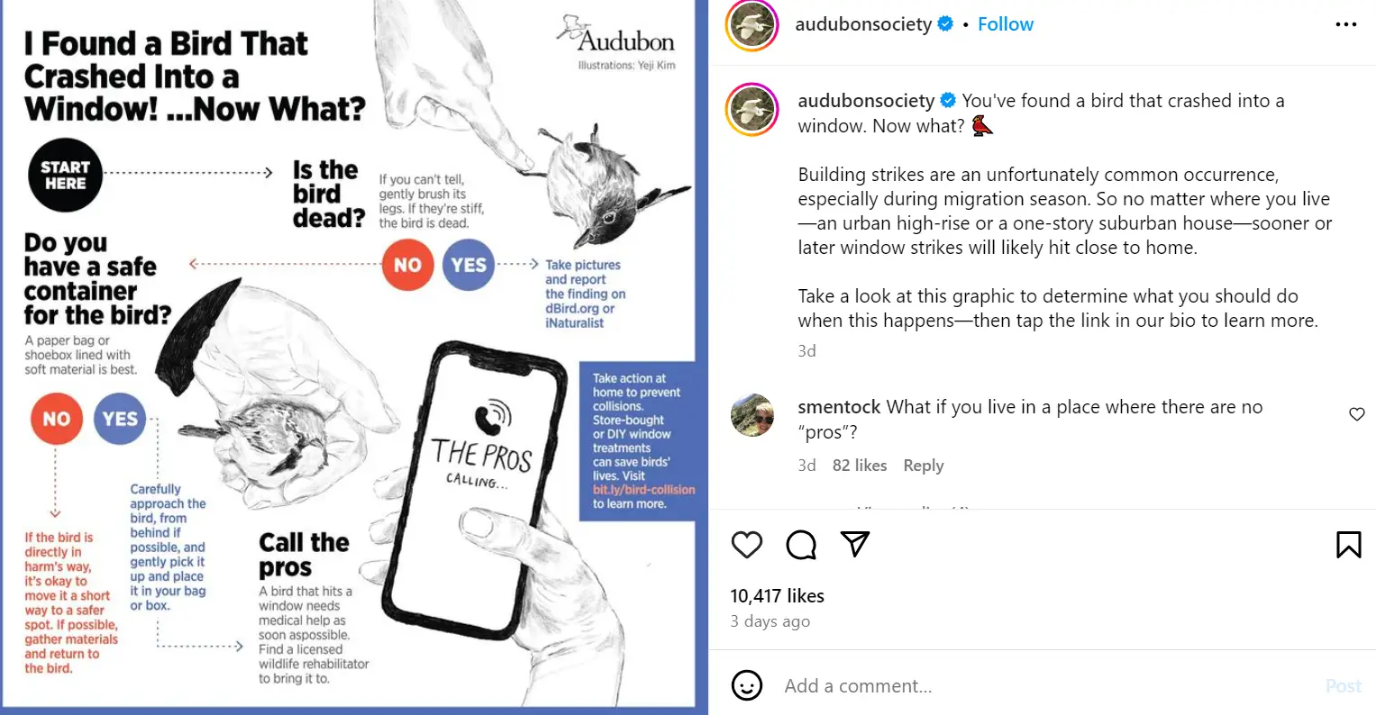 15 Best Instagram Post Ideas to Create Fresh Content | Sprinklr