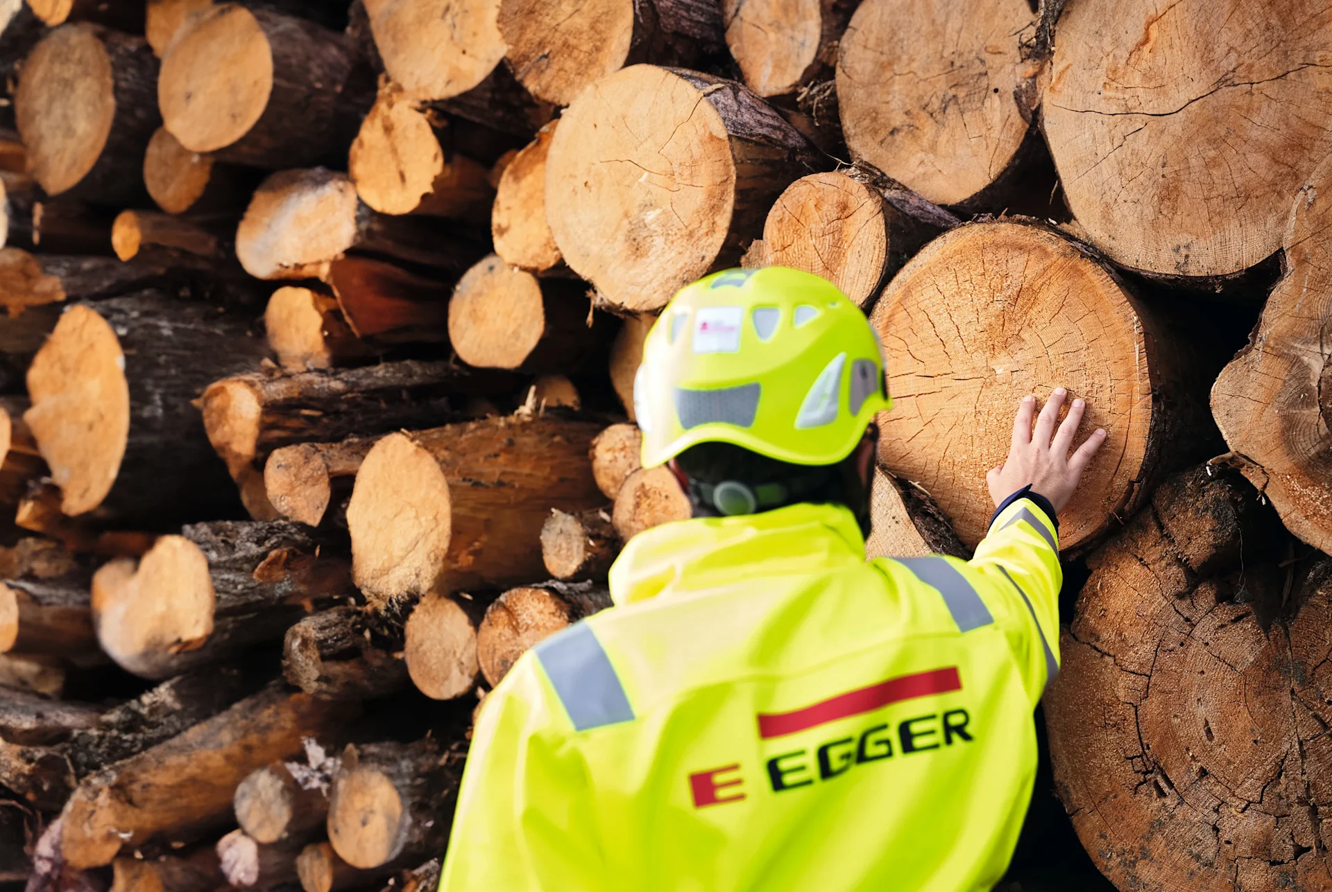 EGGER optimizes organic and paid social ads with Sprinklr