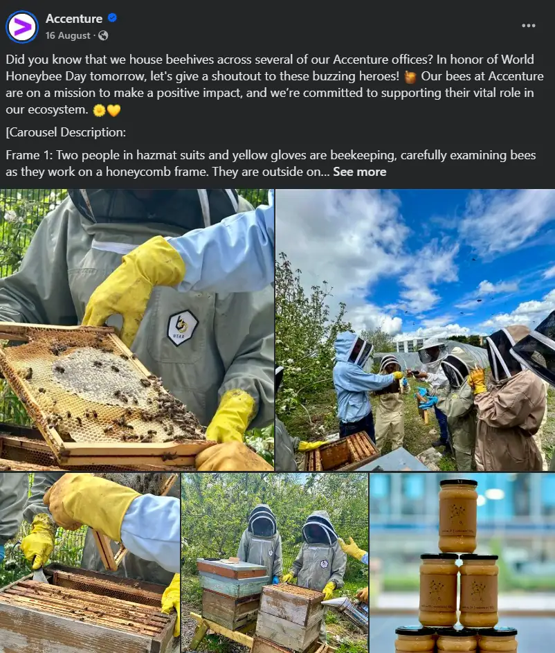 15 Best Facebook Post Ideas to Boost Your Business | Sprinklr