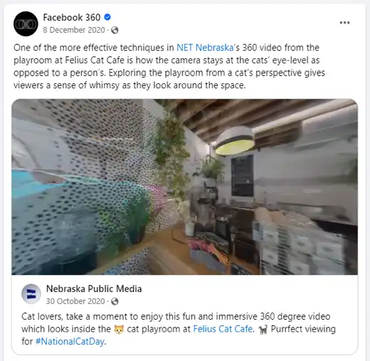 Social Media Video Sizes For Different Platforms In 2025 [Updated ...
