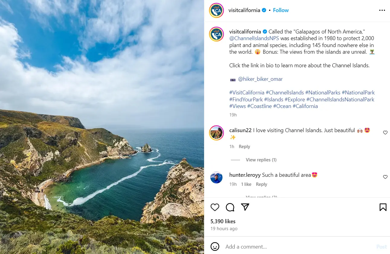 Understanding Instagram Algorithms: Unlock Tips and Insights | Sprinklr