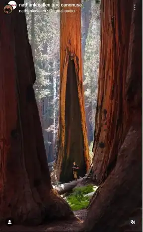 5 Benefits of Instagram Collab Posts for Brands (+How to Use It) | Sprinklr