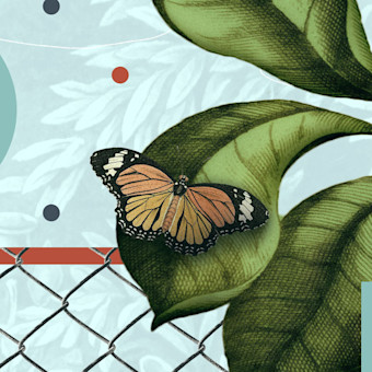 The Reformed Doctrine of General Revelation by Keith Mathison