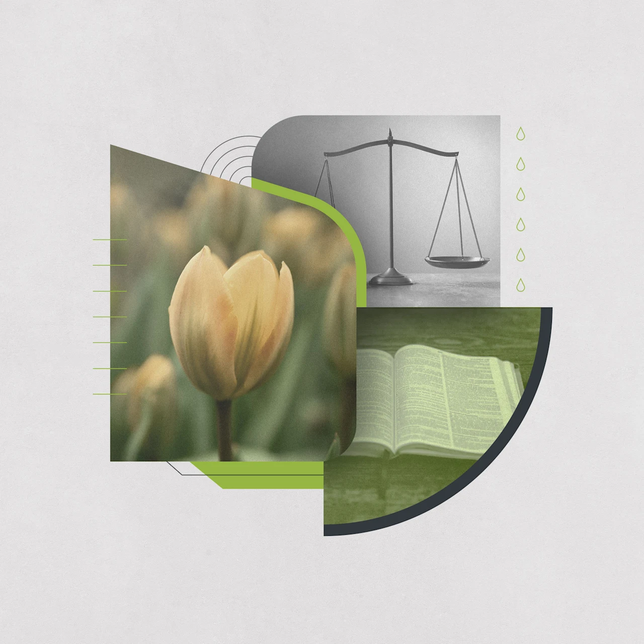 TULIP and Reformed Theology: An Introduction