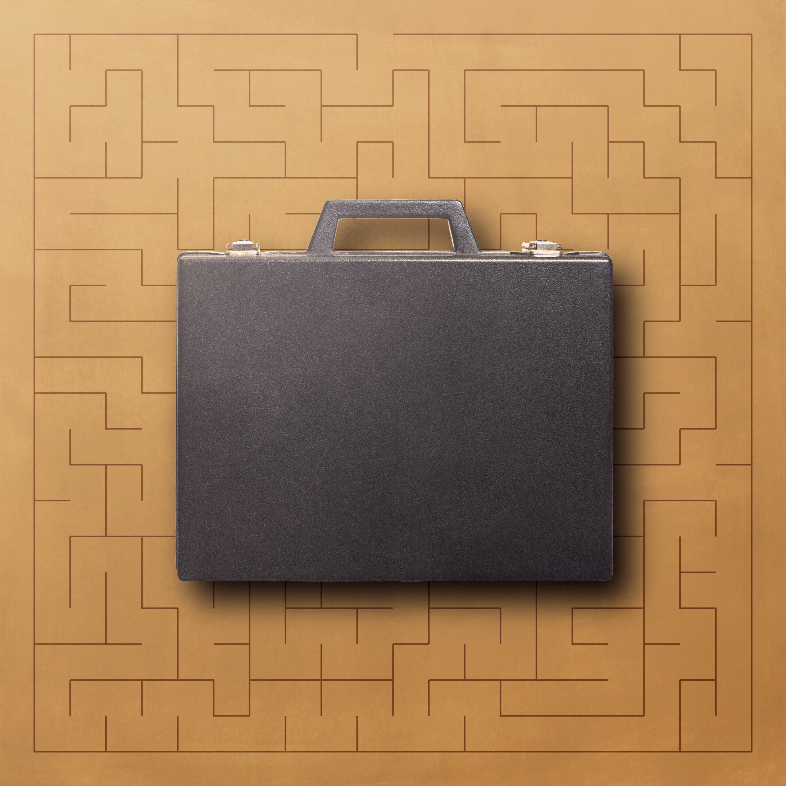 How to Identify and Pursue the Right Vocation