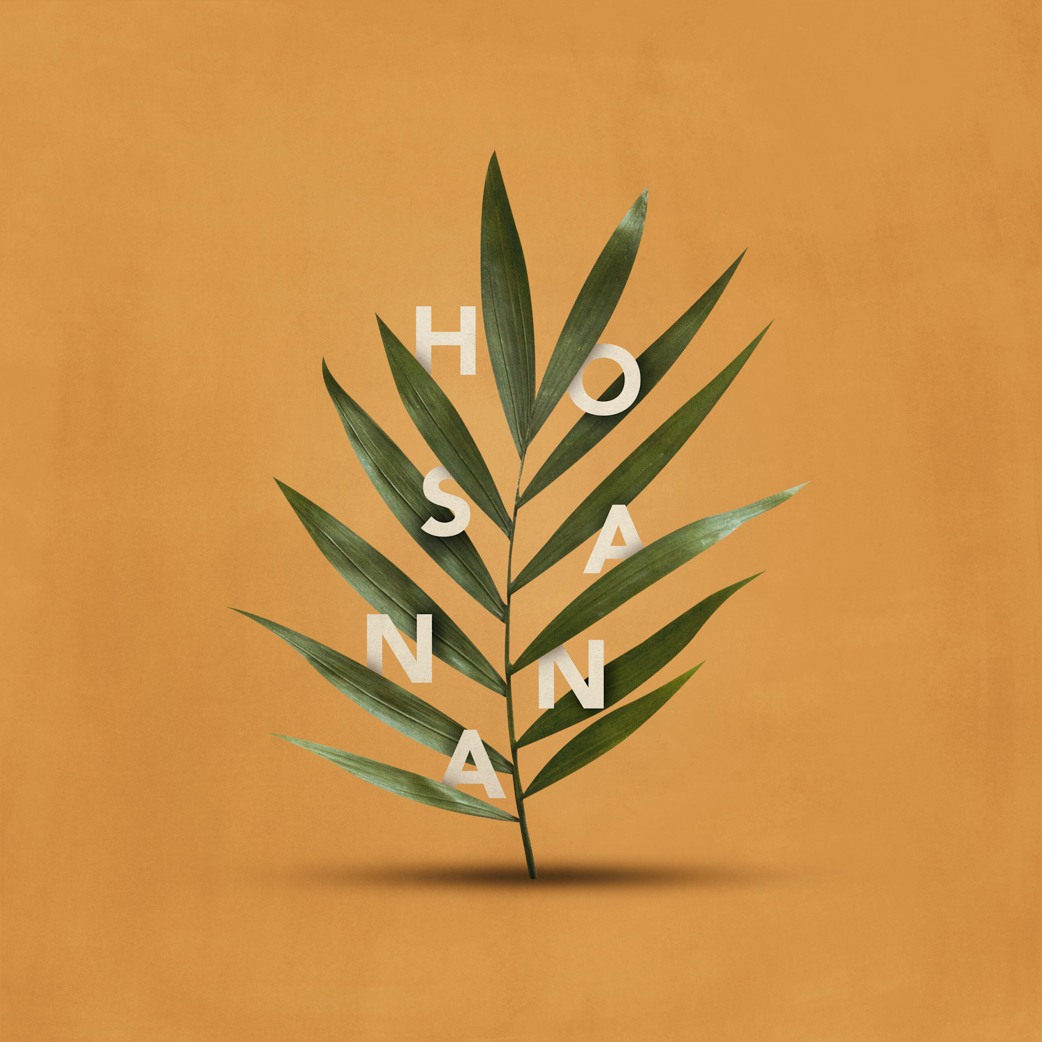 What Does “Hosanna” Mean in the Bible?