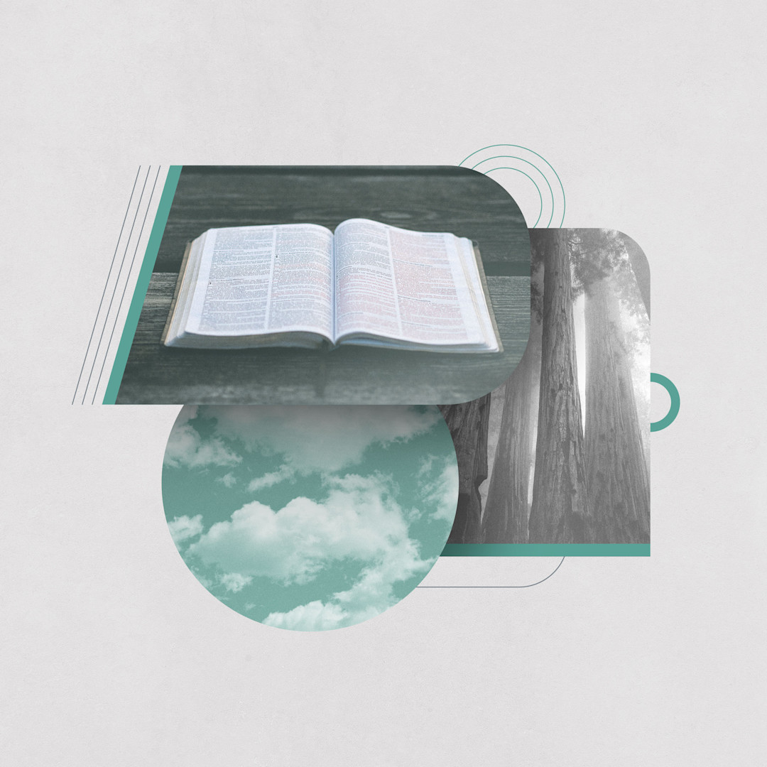 3 Things You Should Know about 1 & 2 Kings