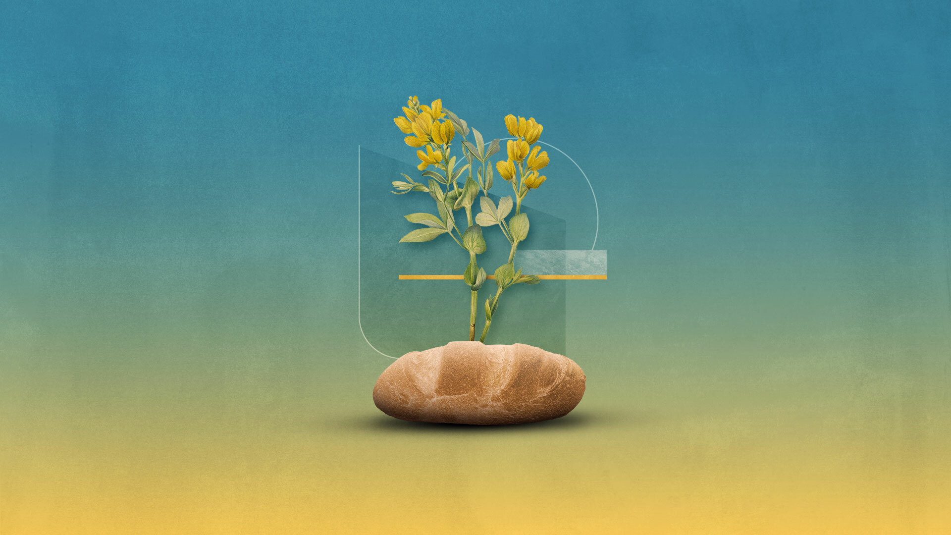 How Is Jesus the Bread of Life?