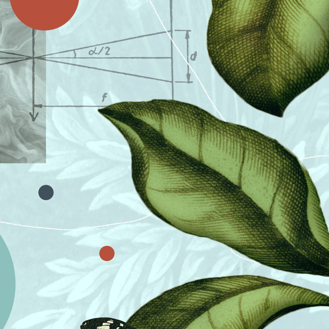 Socrates or Sophism?