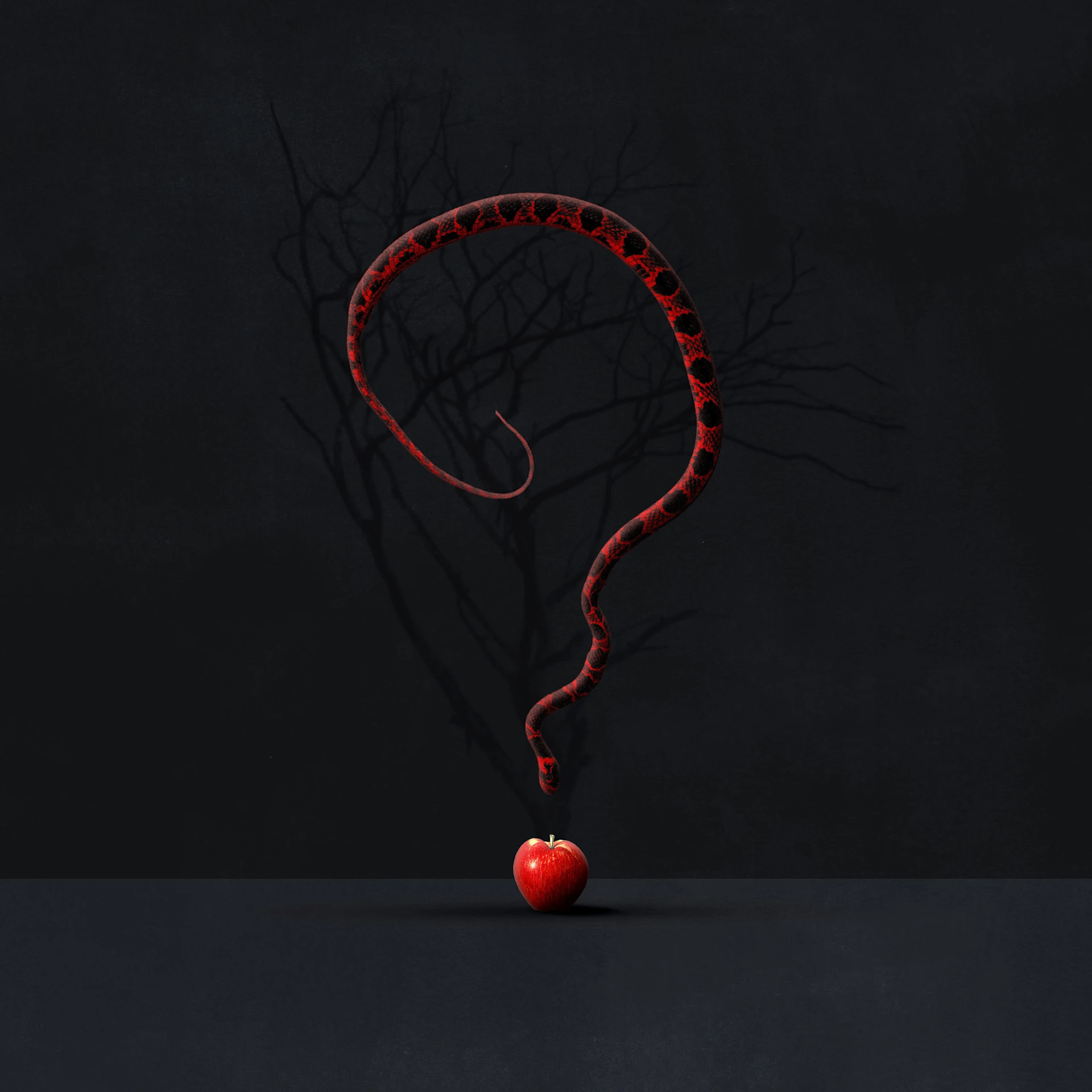 How Do I Know If Something Is a Sin?