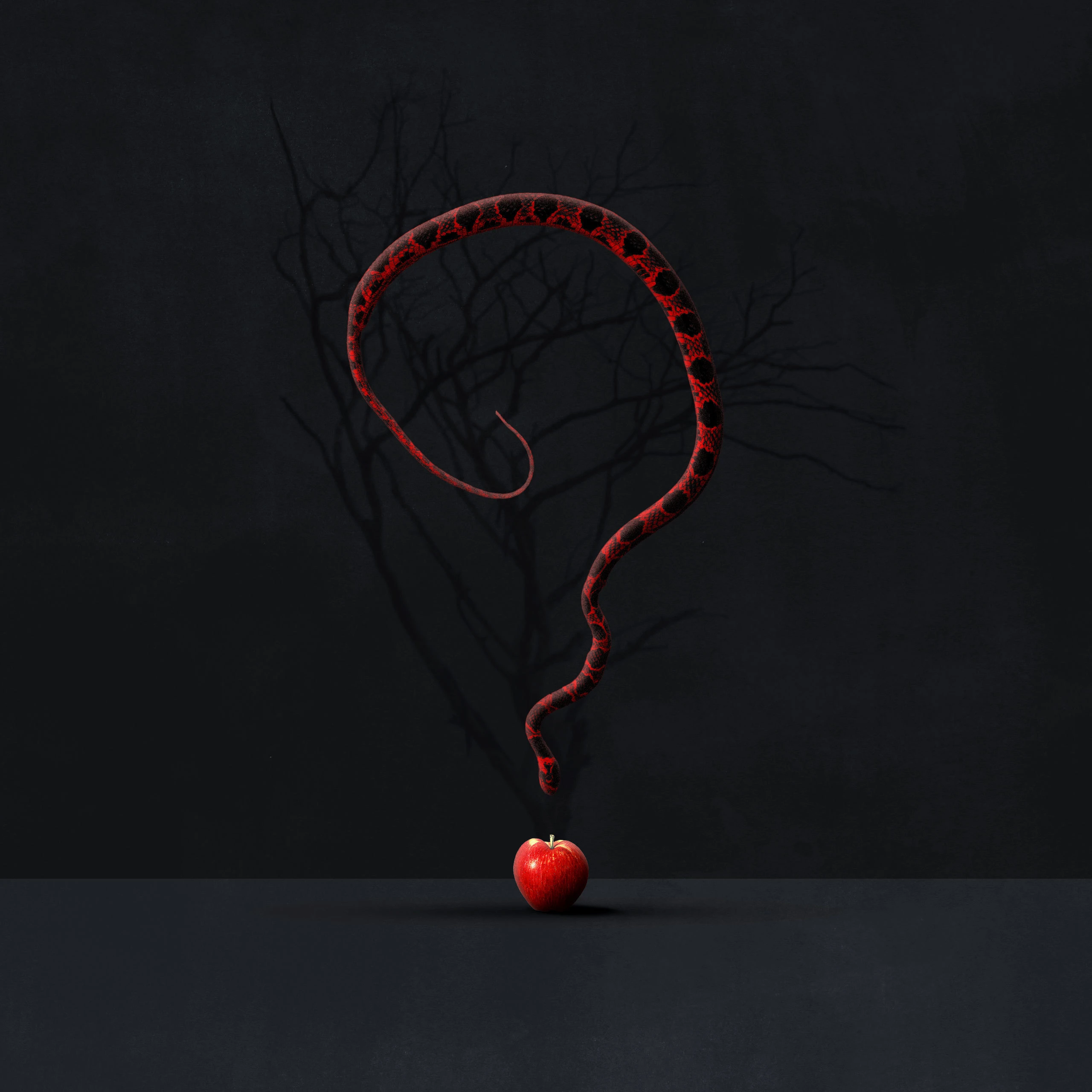 How Do I Know If Something Is a Sin?