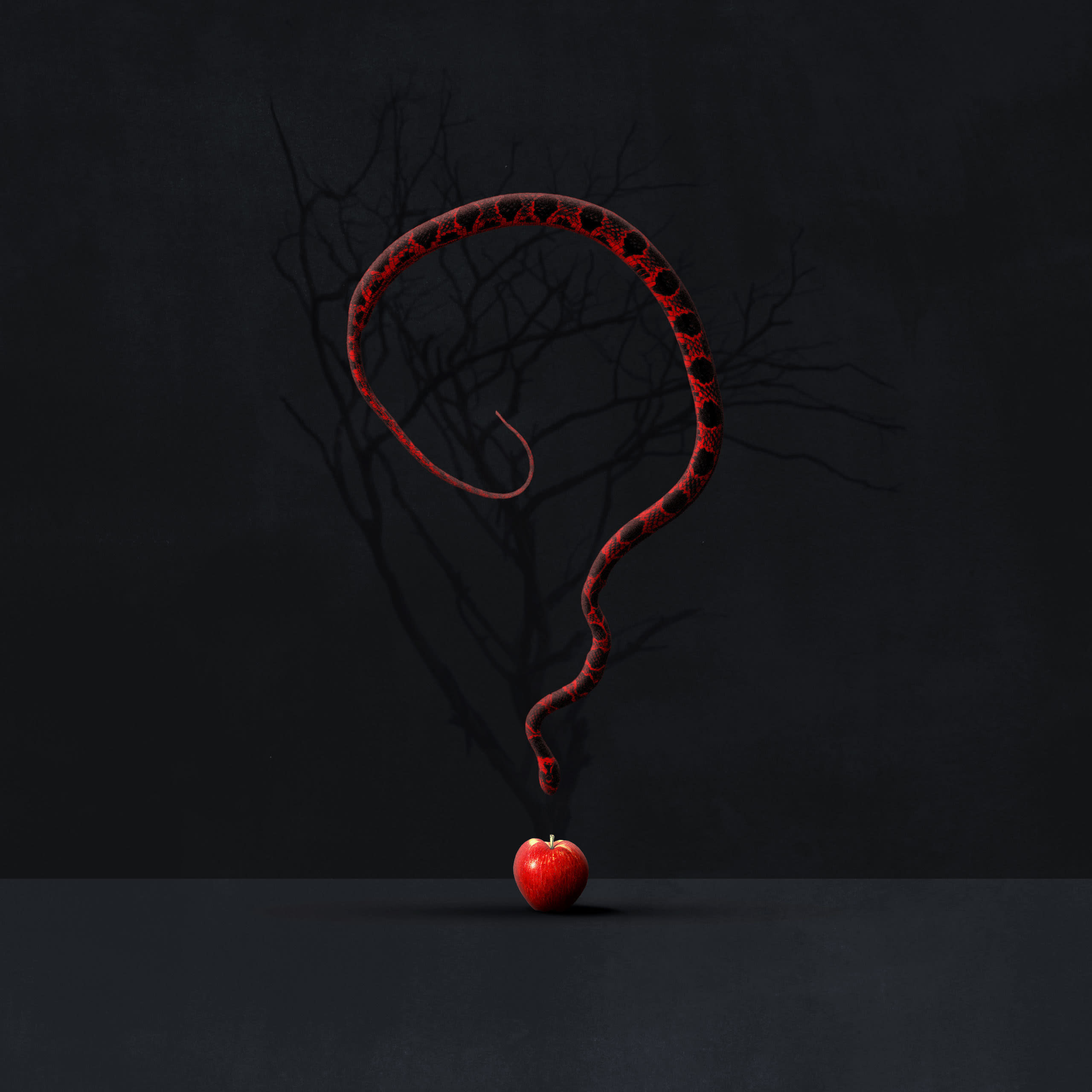 How Do I Know If Something Is a Sin?