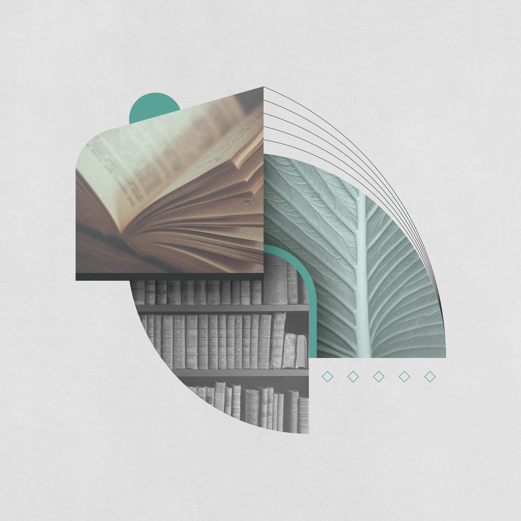 Recommended Reading: John Calvin