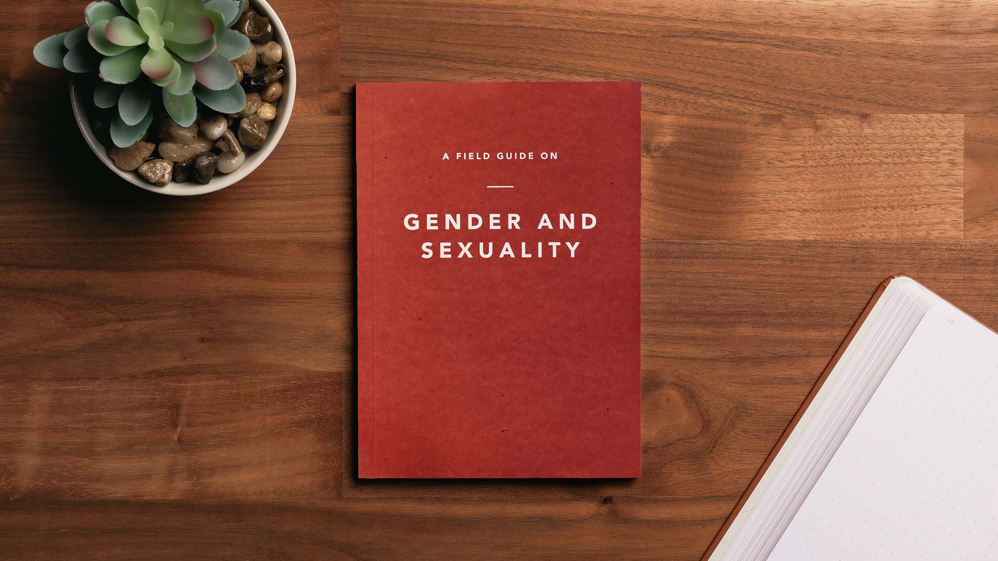 Order Now: A Field Guide on Gender and Sexuality