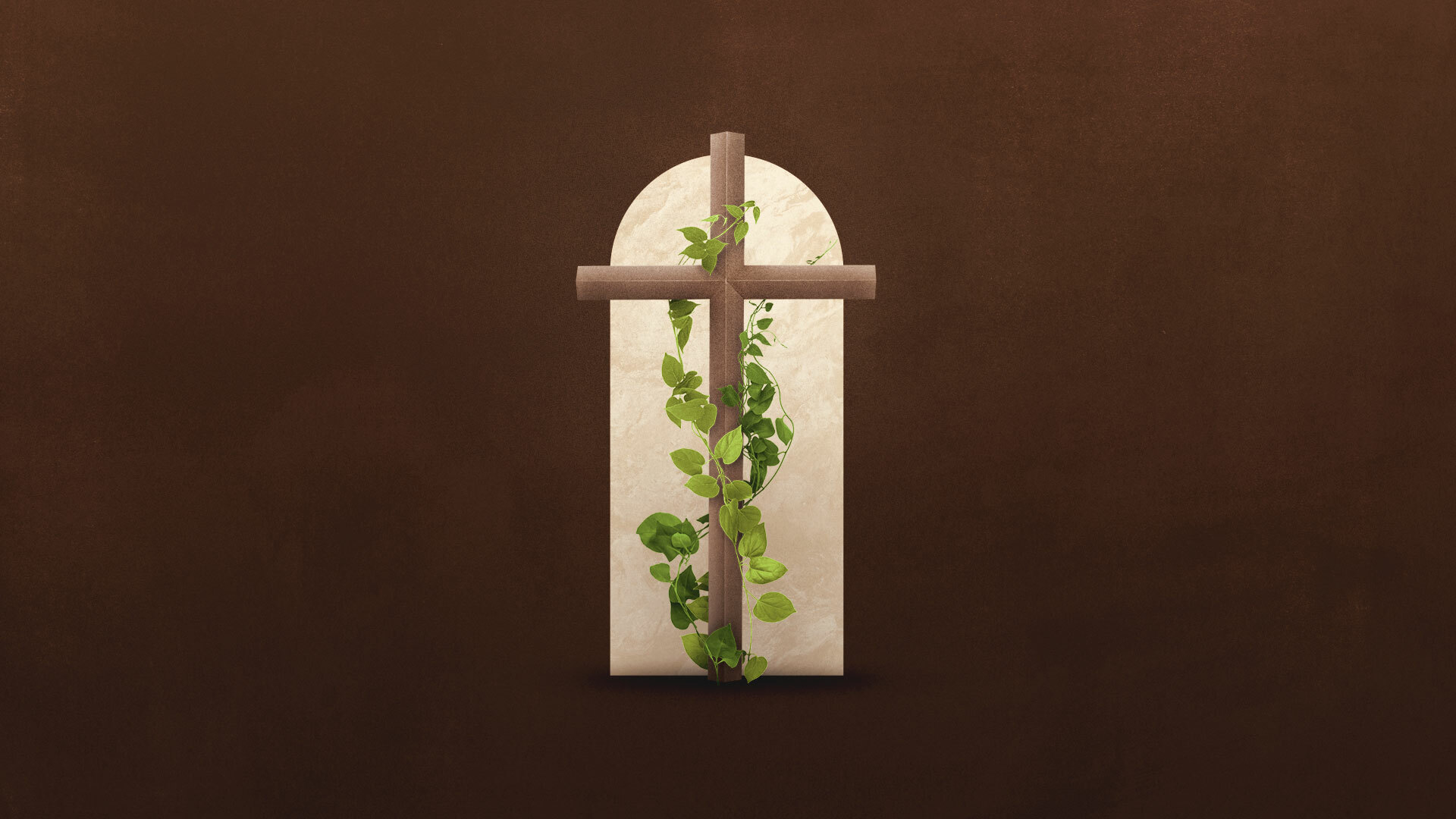 How Is Jesus the True Vine?