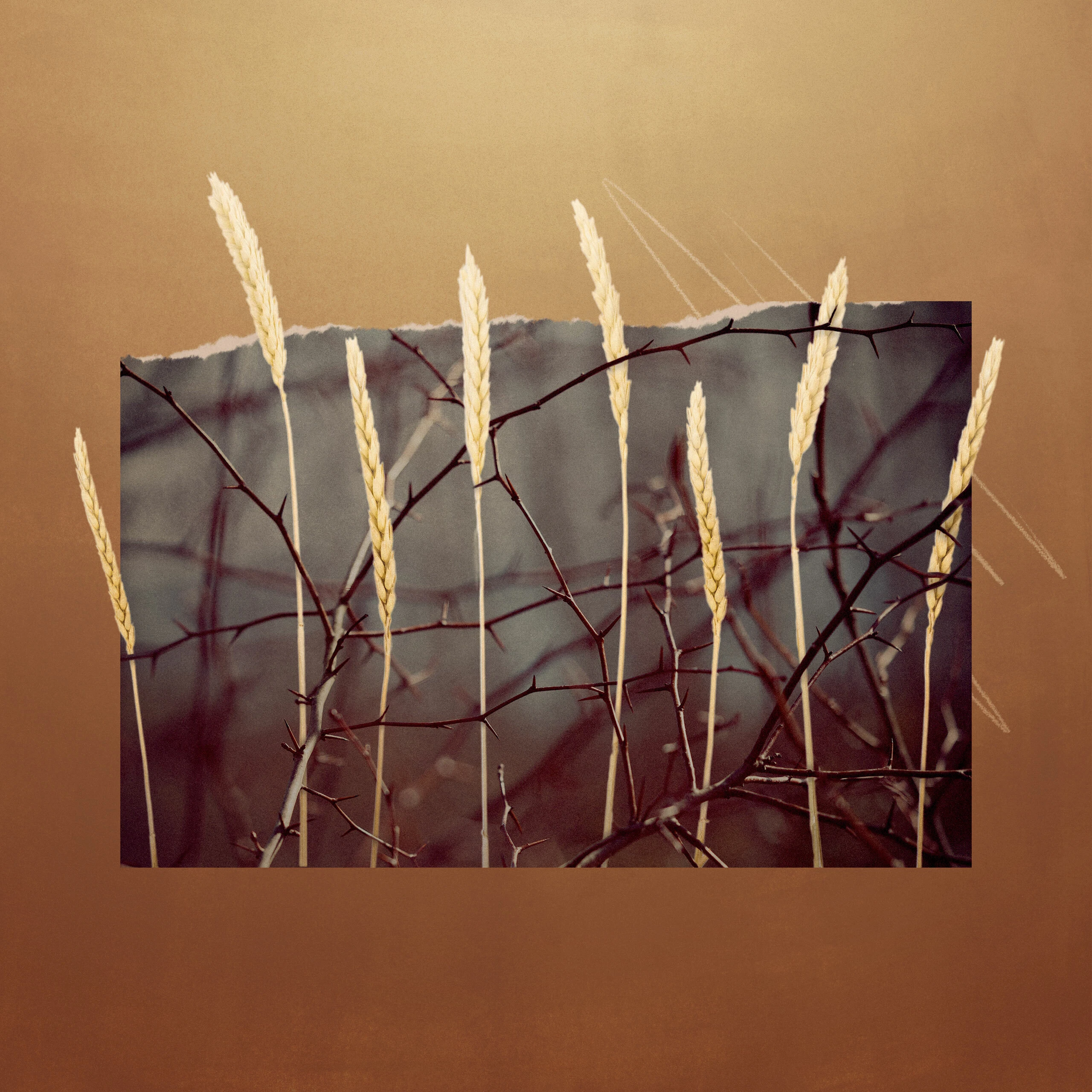 When the World Seems to Be Winning