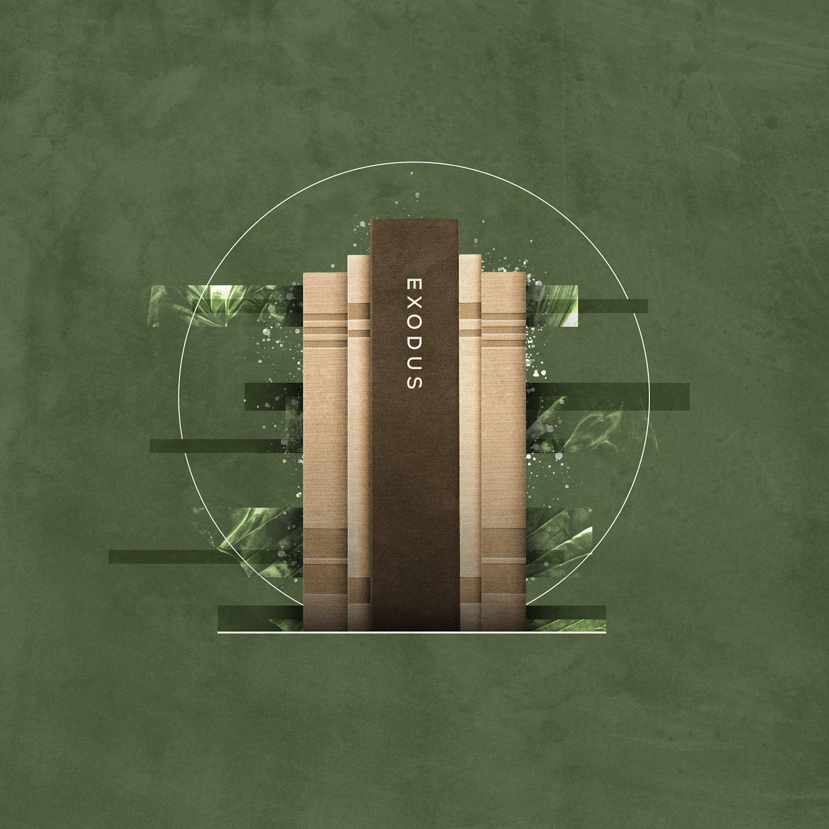 Top 5 Commentaries on the Book of Exodus