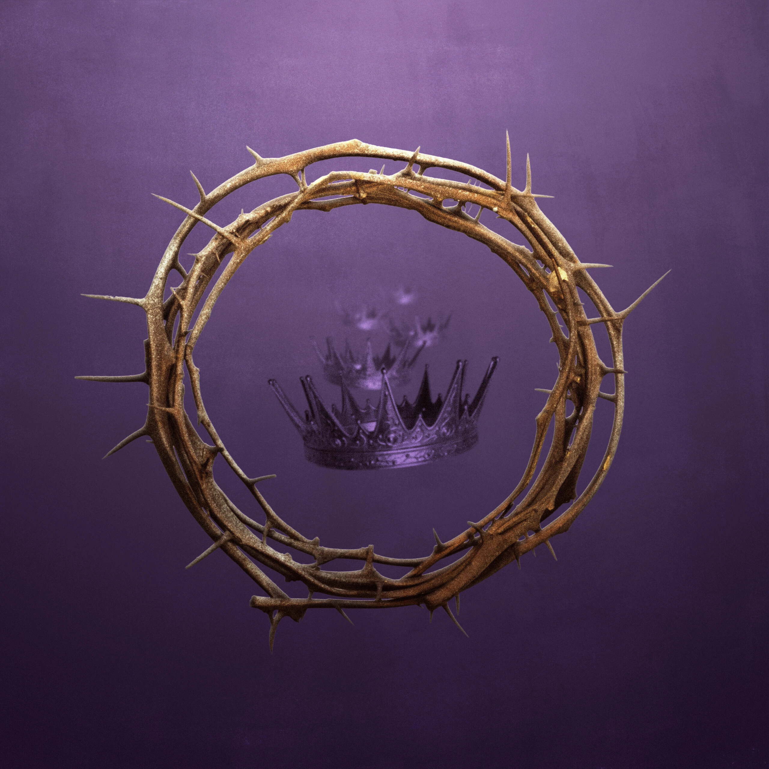 The Son of David: Christ as the Fulfillment of Davidic Promises