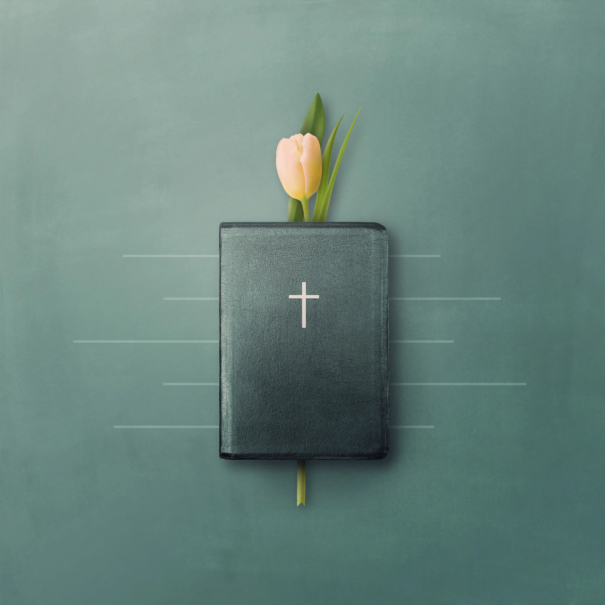 What Is Calvinism?