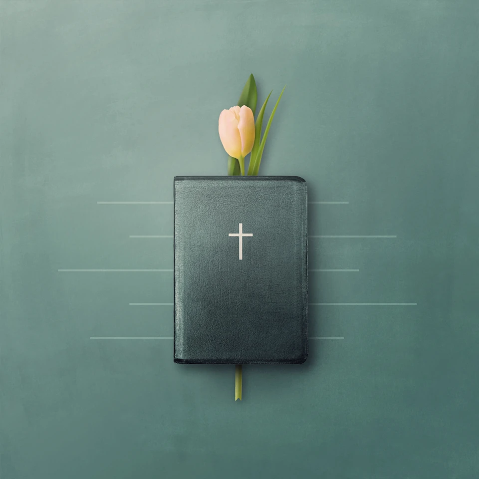 What Is Calvinism?