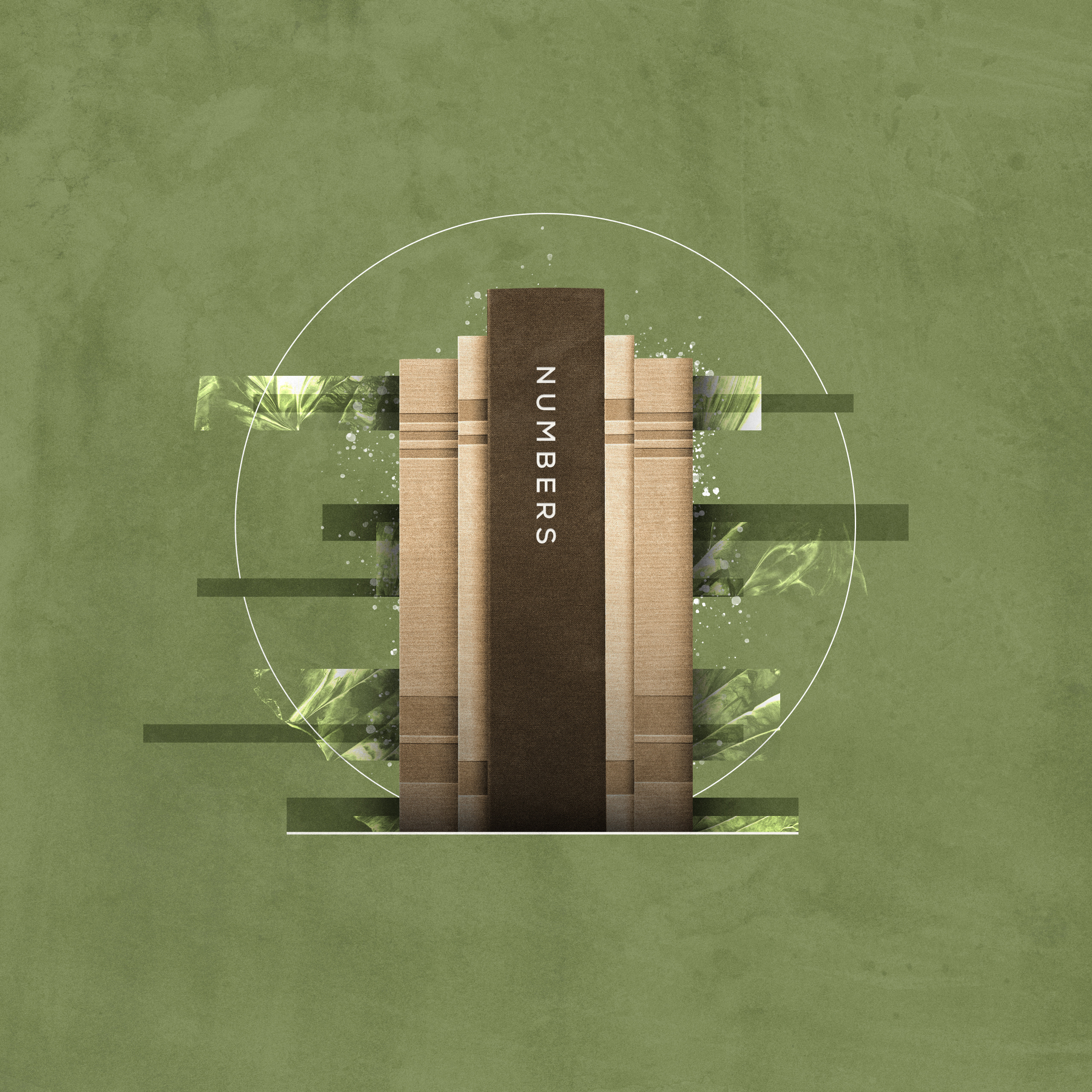 Top 5 Commentaries on the Book of Numbers