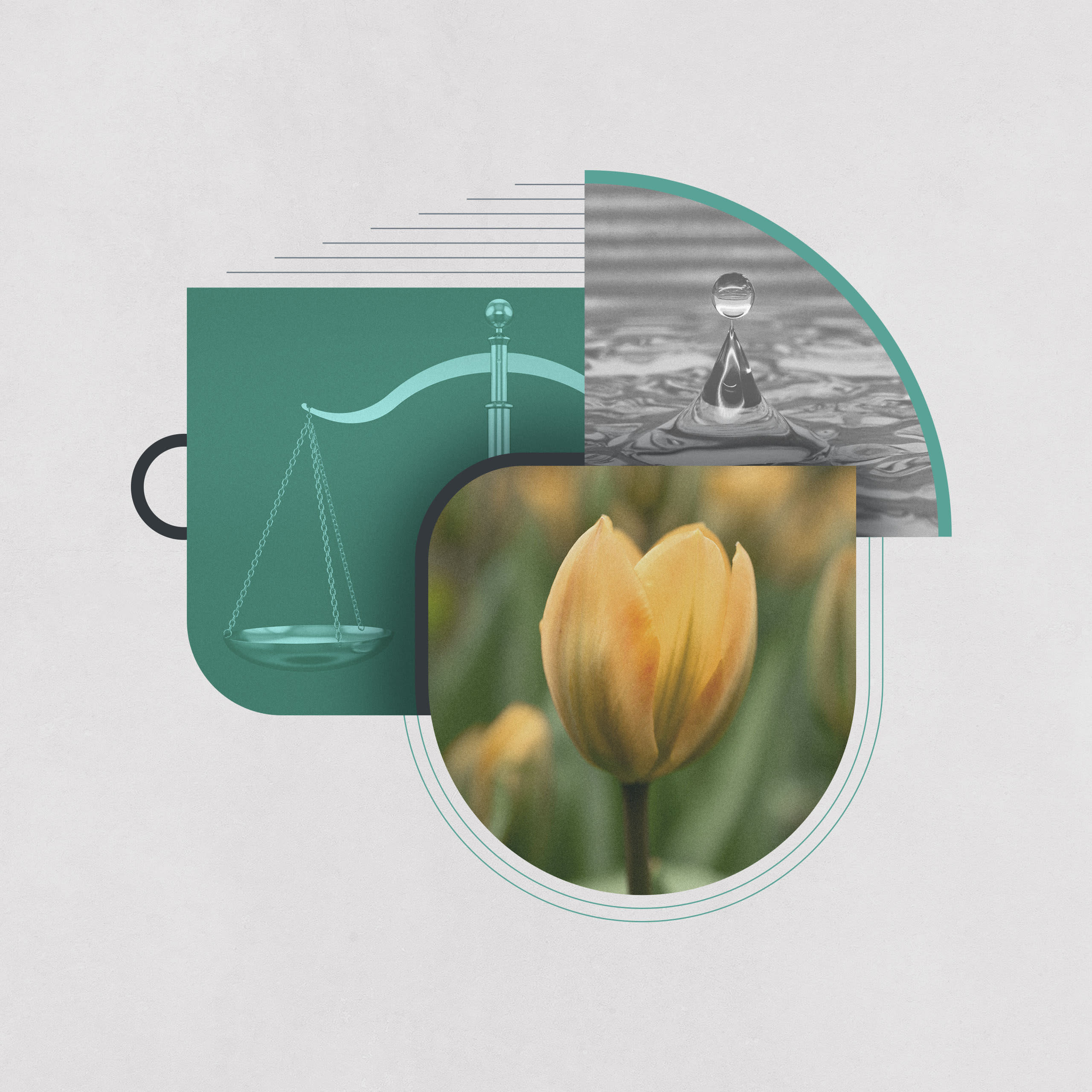 What Is the Perseverance of the Saints?