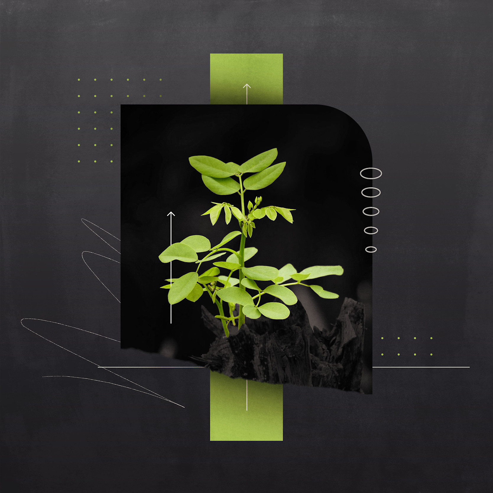 5 Things You Should Know about Sanctification