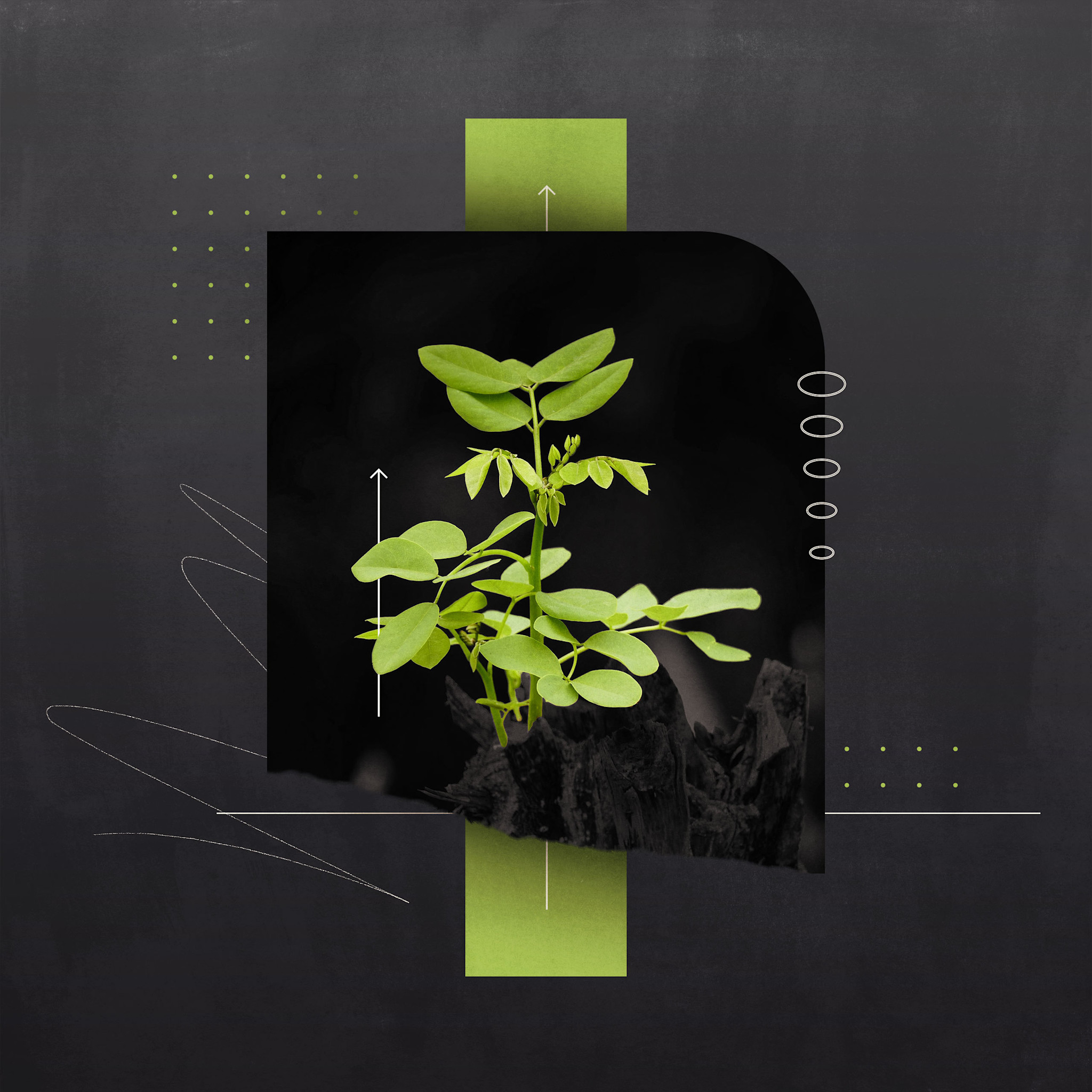 5 Things You Should Know about Sanctification