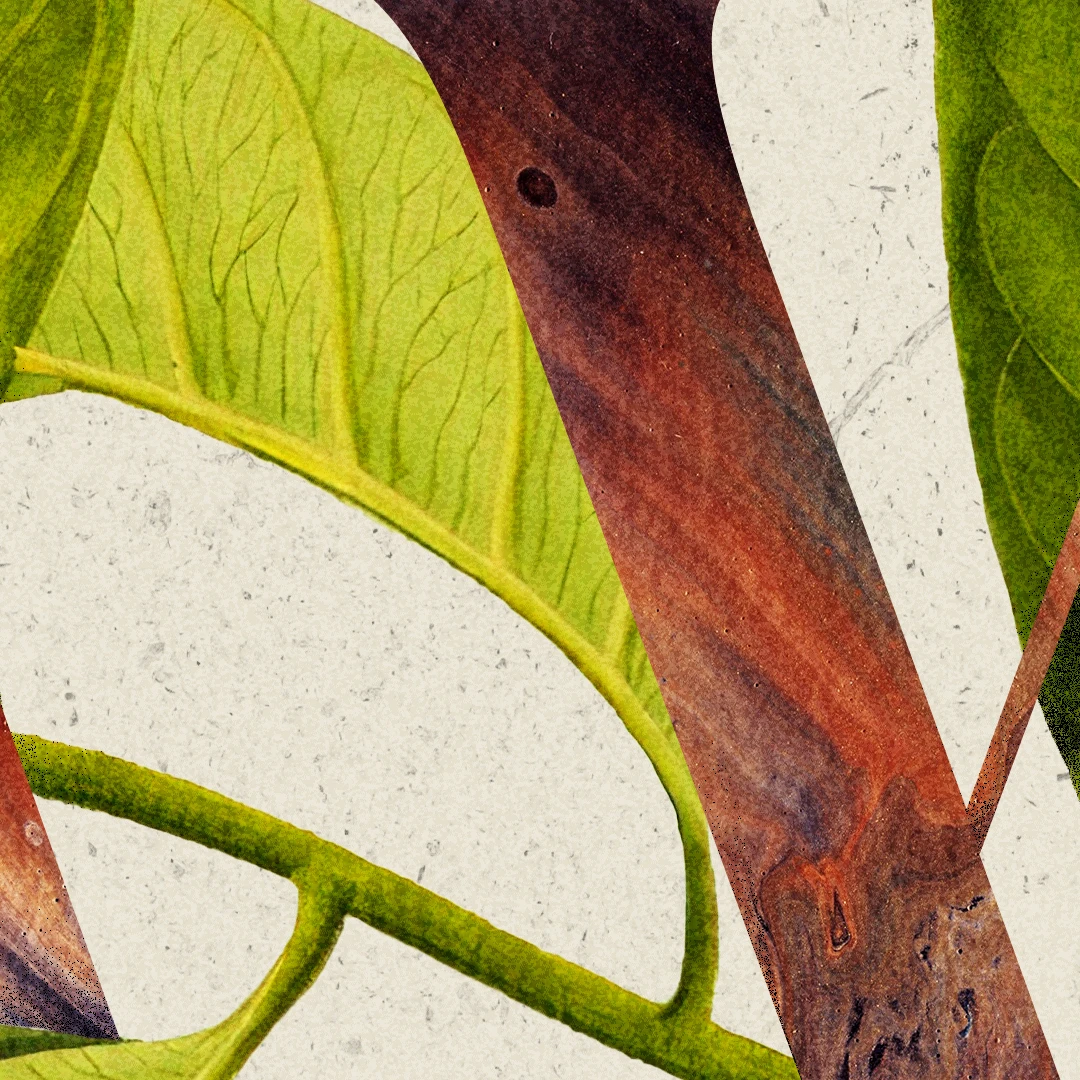 The Covenant of Works by R.C. Sproul