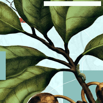 What Is Christian Discipleship?