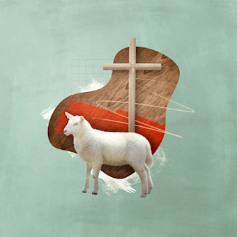 How Is the Rainbow a Sign of the Covenant?