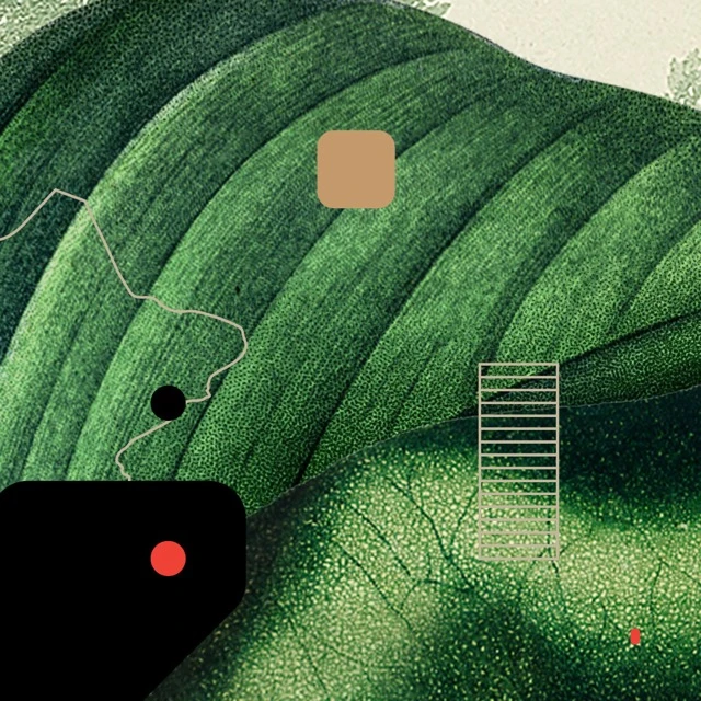 What Happened on Saturday?